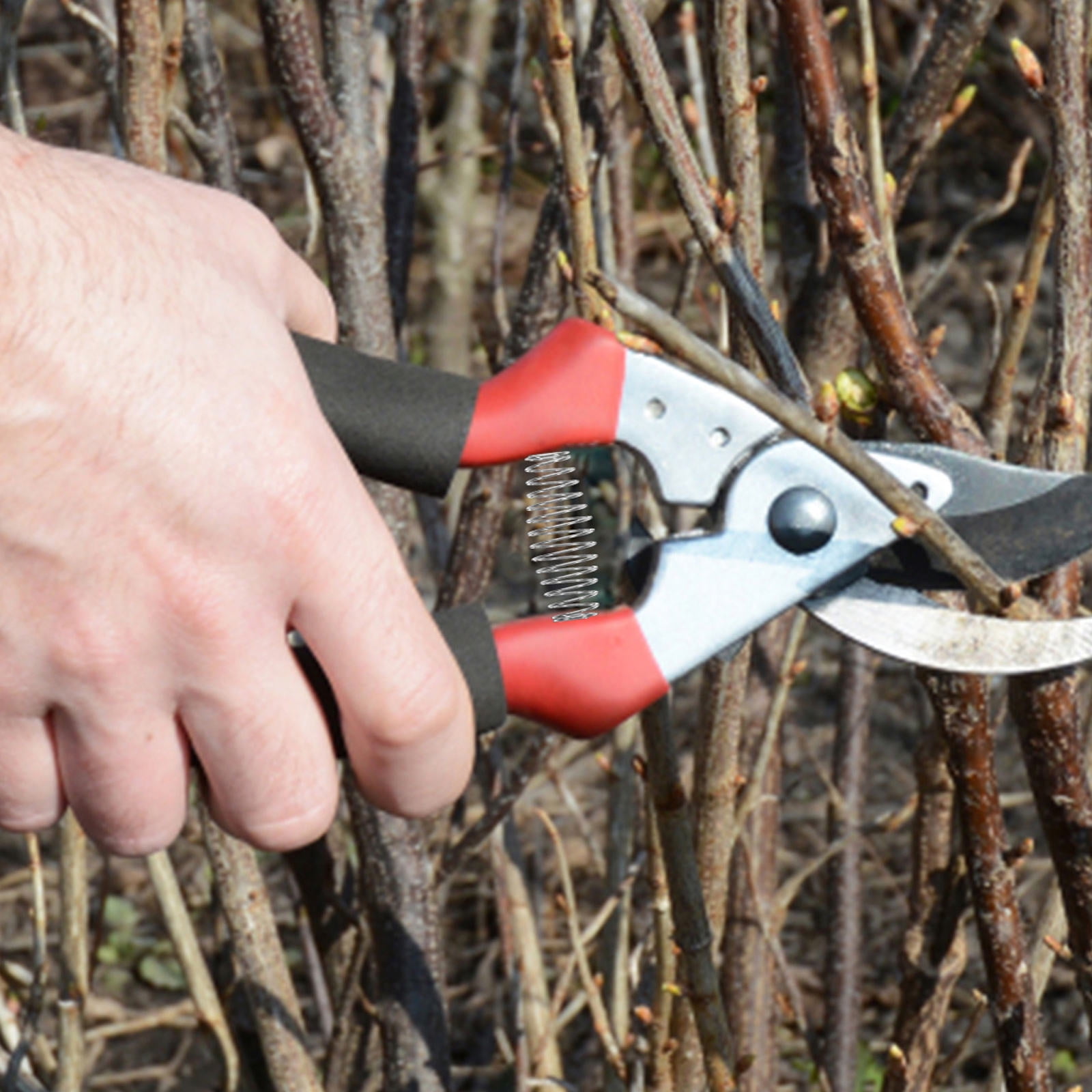 HOMEMAXS 12 Pcs Flower Thinning Shears Spring Sheers Garden Springs ...