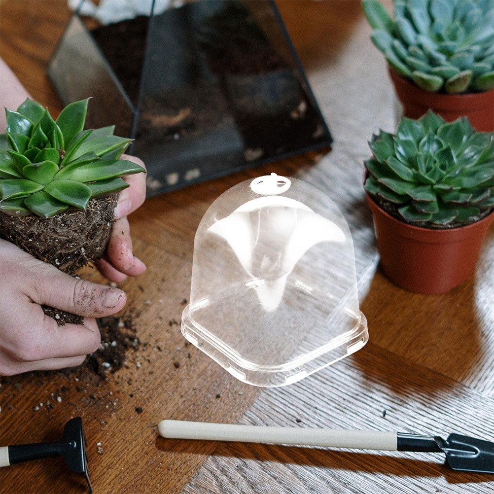 HOMEMAXS 12pcs Clear Plastic Dome For Plants Protection And Humidity ...