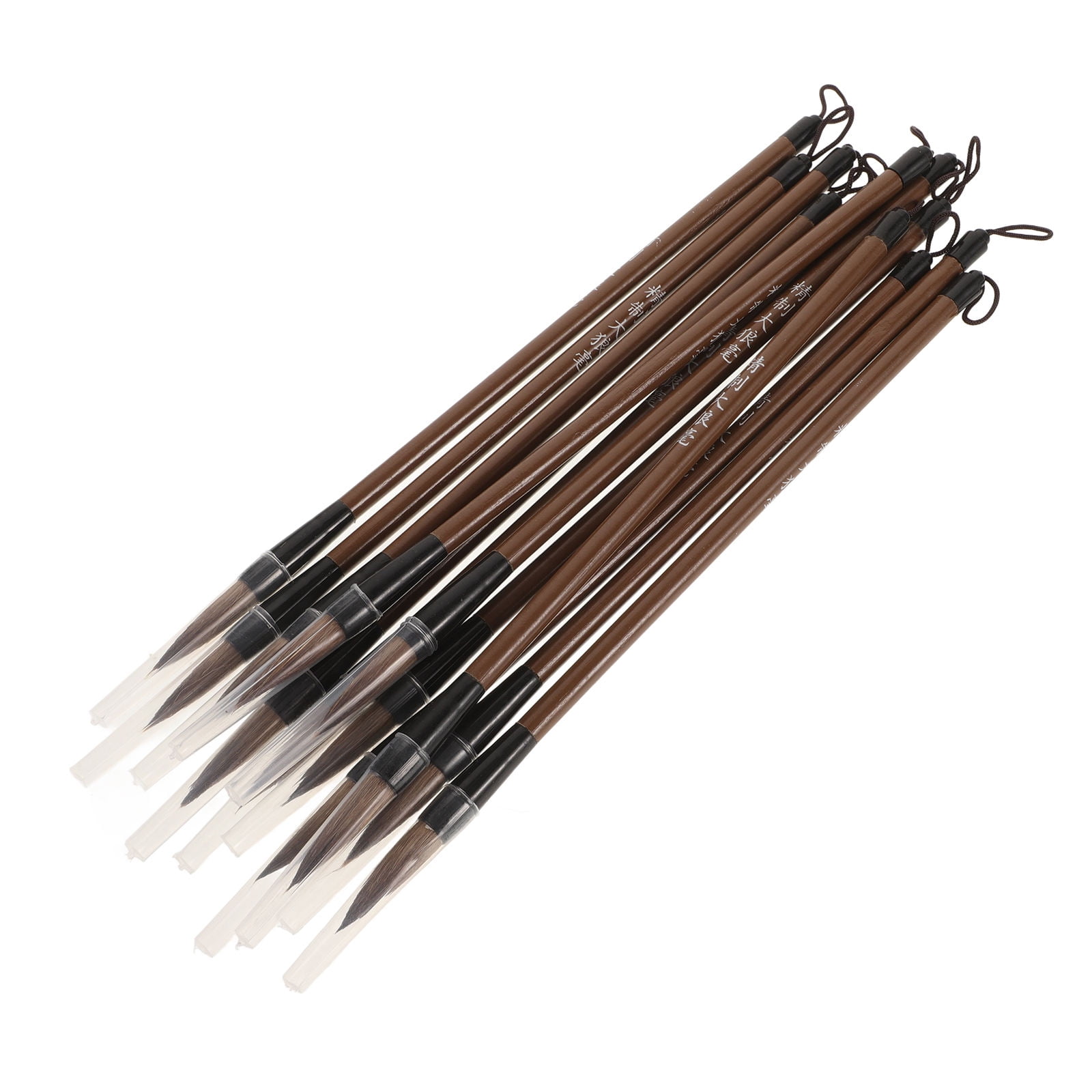 HOMEMAXS 12pcs Ink Brush Traditional Calligraphy For Beginners Chinese ...
