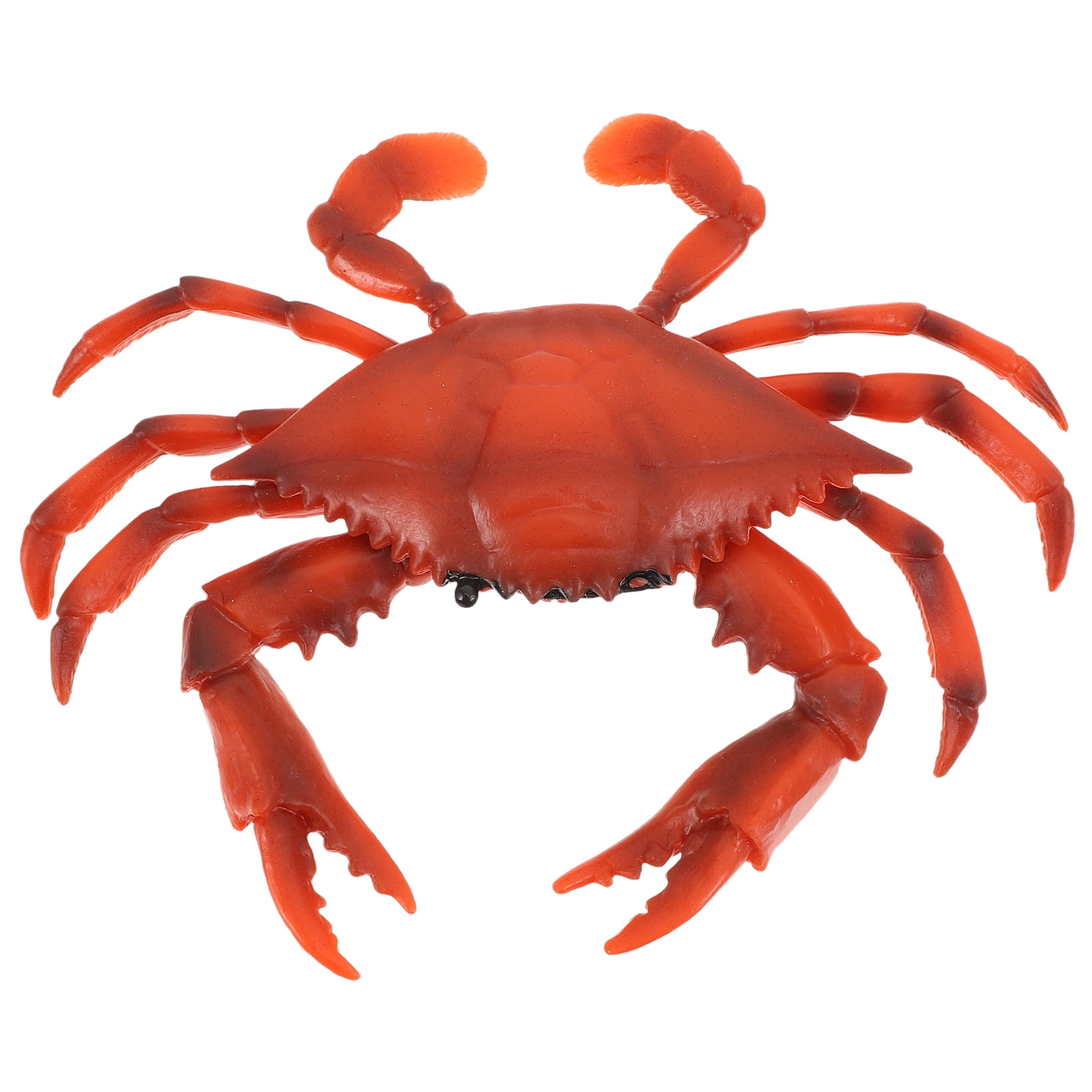 HOMEMAXS 1pc Simulation Marine Creature Realistic Animals Toy Mini Sea ...