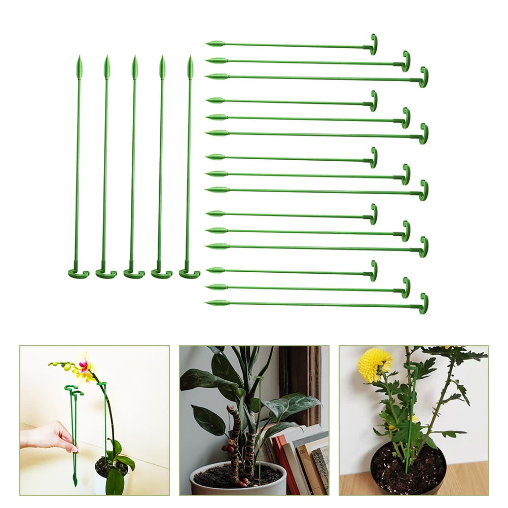 HOMEMAXS 20 Pcs Orchid Stake Poles Flower Stem Holes Plant Support ...