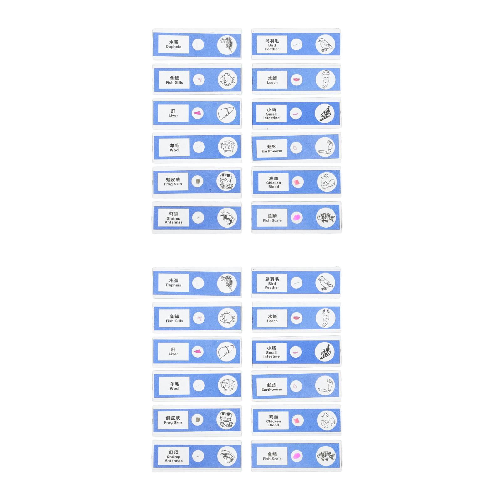 HOMEMAXS 24 pcs Microscope Slides For Kids Prepared Microscope Slides ...