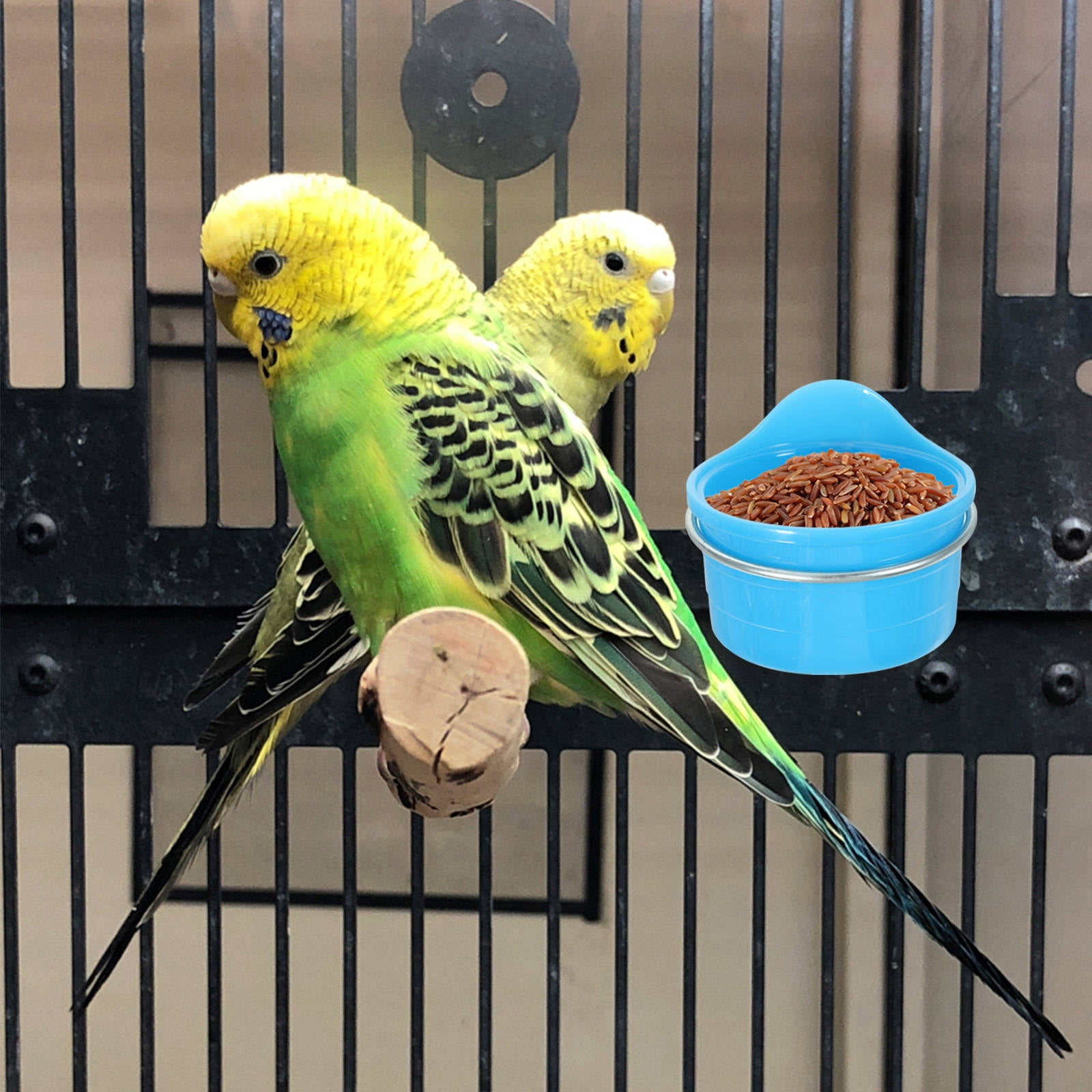 2Pcs Parrot Feeder Bird Cage Mount Bird Trough Bird Food Container ...