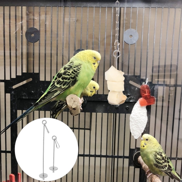 2Pcs Vegetable Fruit Holders for Bird Cage Bird Food Holders Compact ...