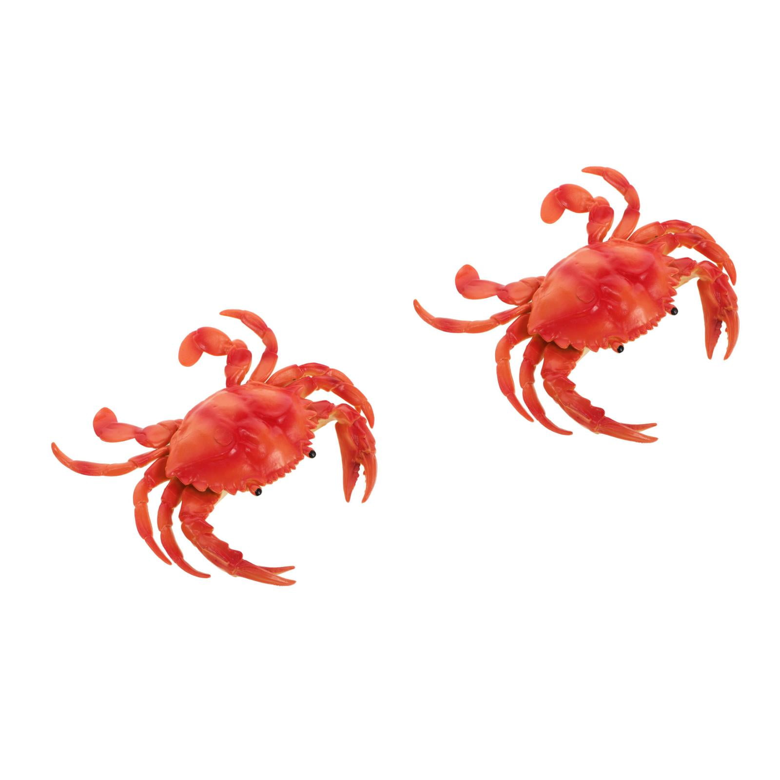 HOMEMAXS 2pcs Realistic Crab Toy Simulated Marine Animal Model ...