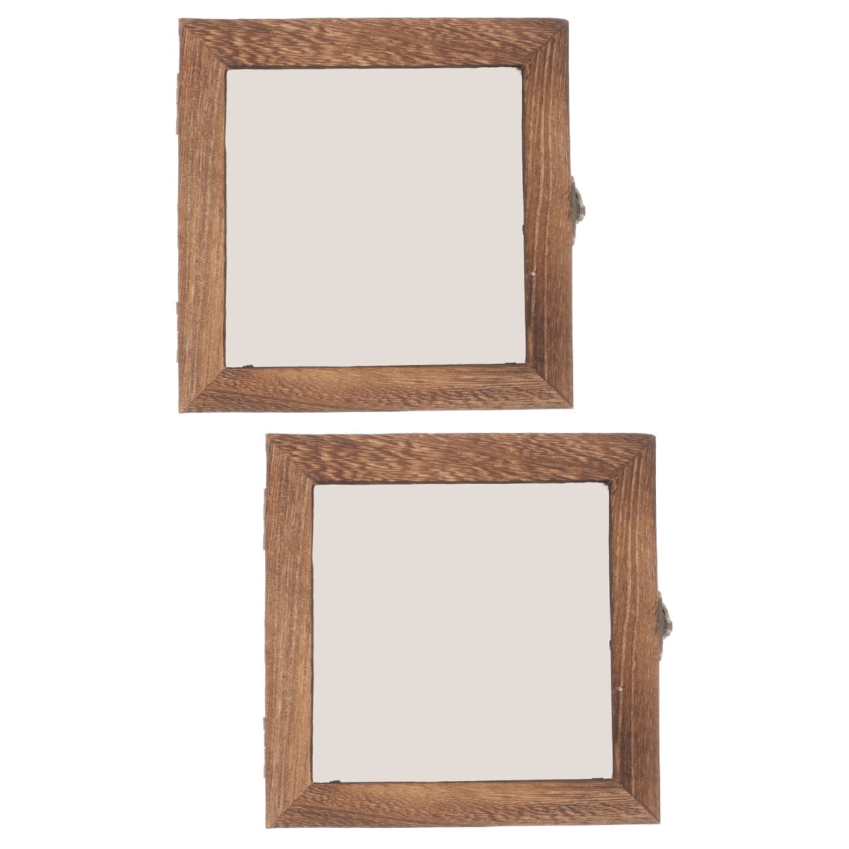 HOMEMAXS 2pcs Specimen Display Case Wooden Specimen Collection Box ...