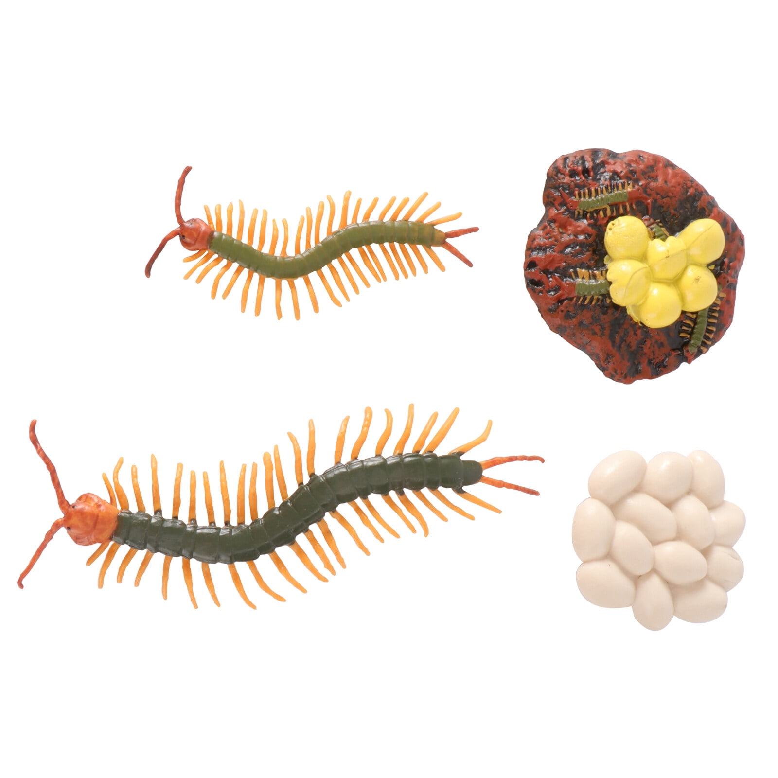HOMEMAXS 3 Sets Creature Growth Cycle Toys Centipede Models PVC ...