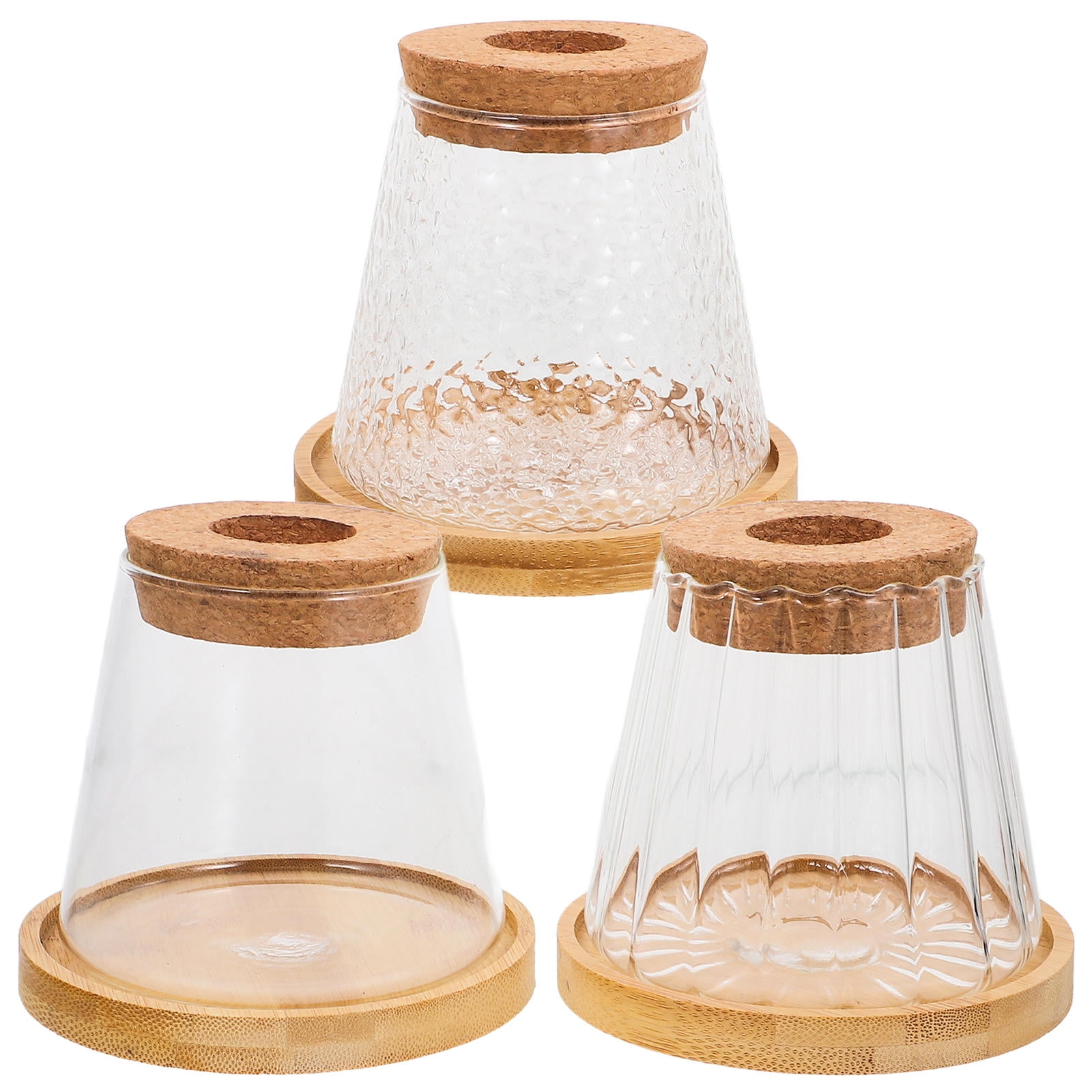 HOMEMAXS 3 Sets Of Transparent Glass Vases For Plant Propagation ...