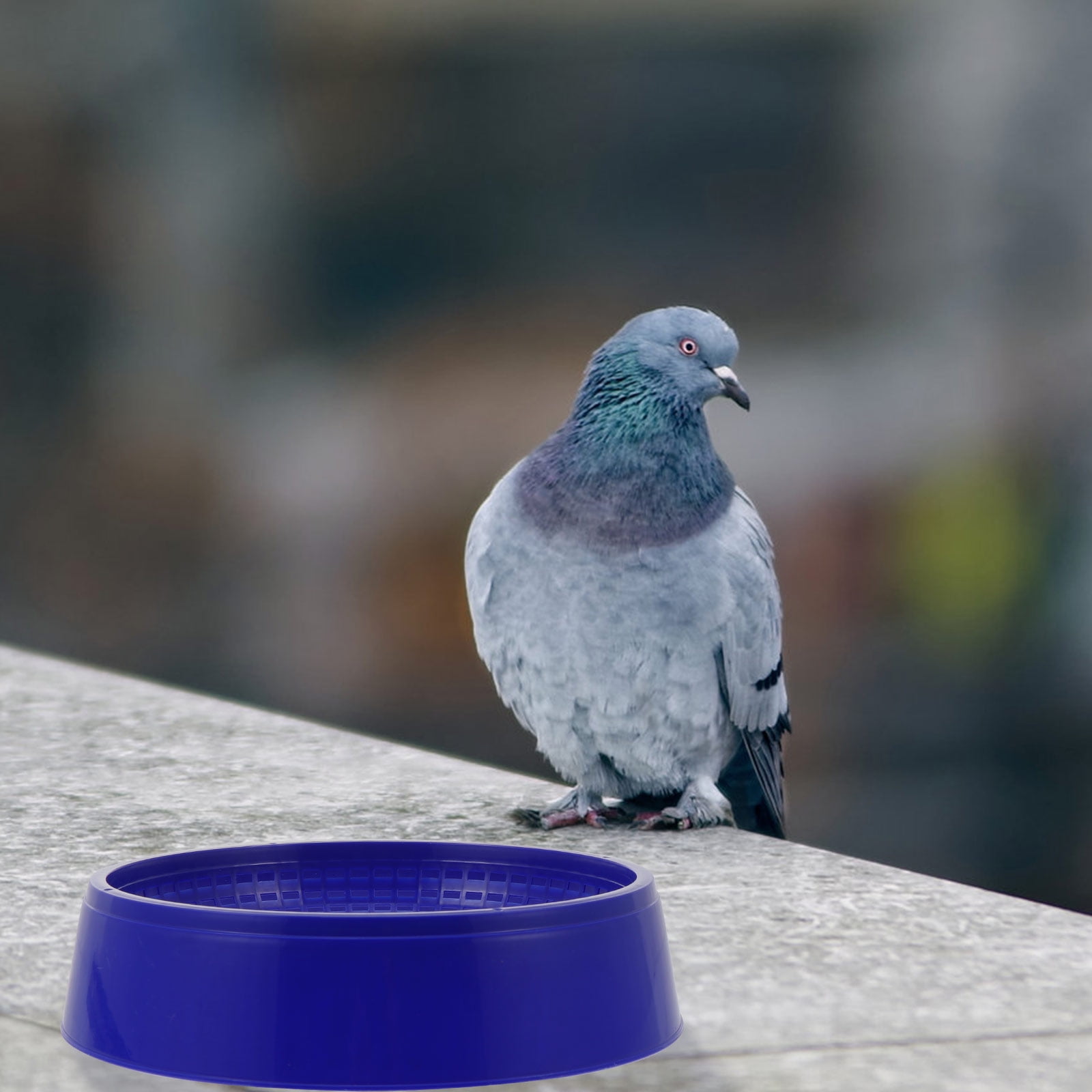 HOMEMAXS 3Pcs Pigeon Nests Bird Breeding Nest Plastic Nest Egg Laying ...