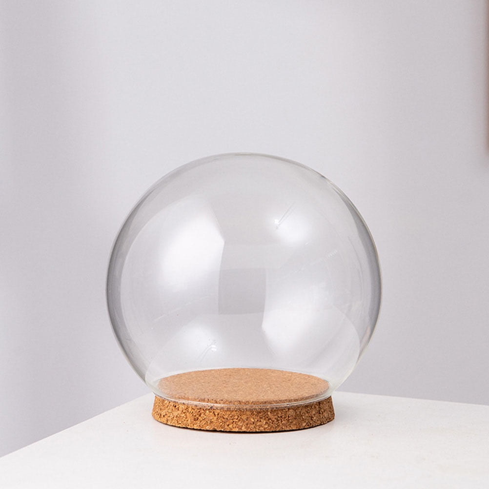 HOMEMAXS 4 Pcs Covers Preserved Flower Glass Cover Unique Decor 12x12cm ...