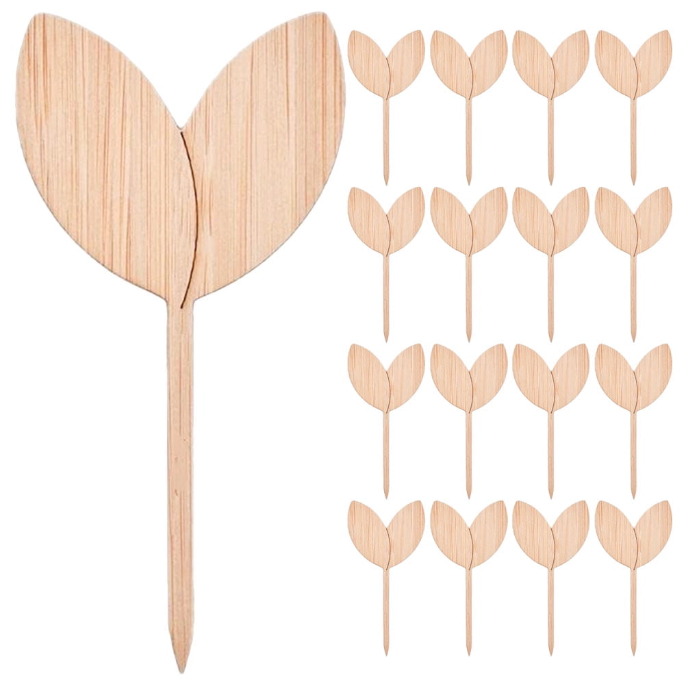 HOMEMAXS 40 Pcs Sticky Sticks for Indoor Plants Garden Stakes Wooden ...