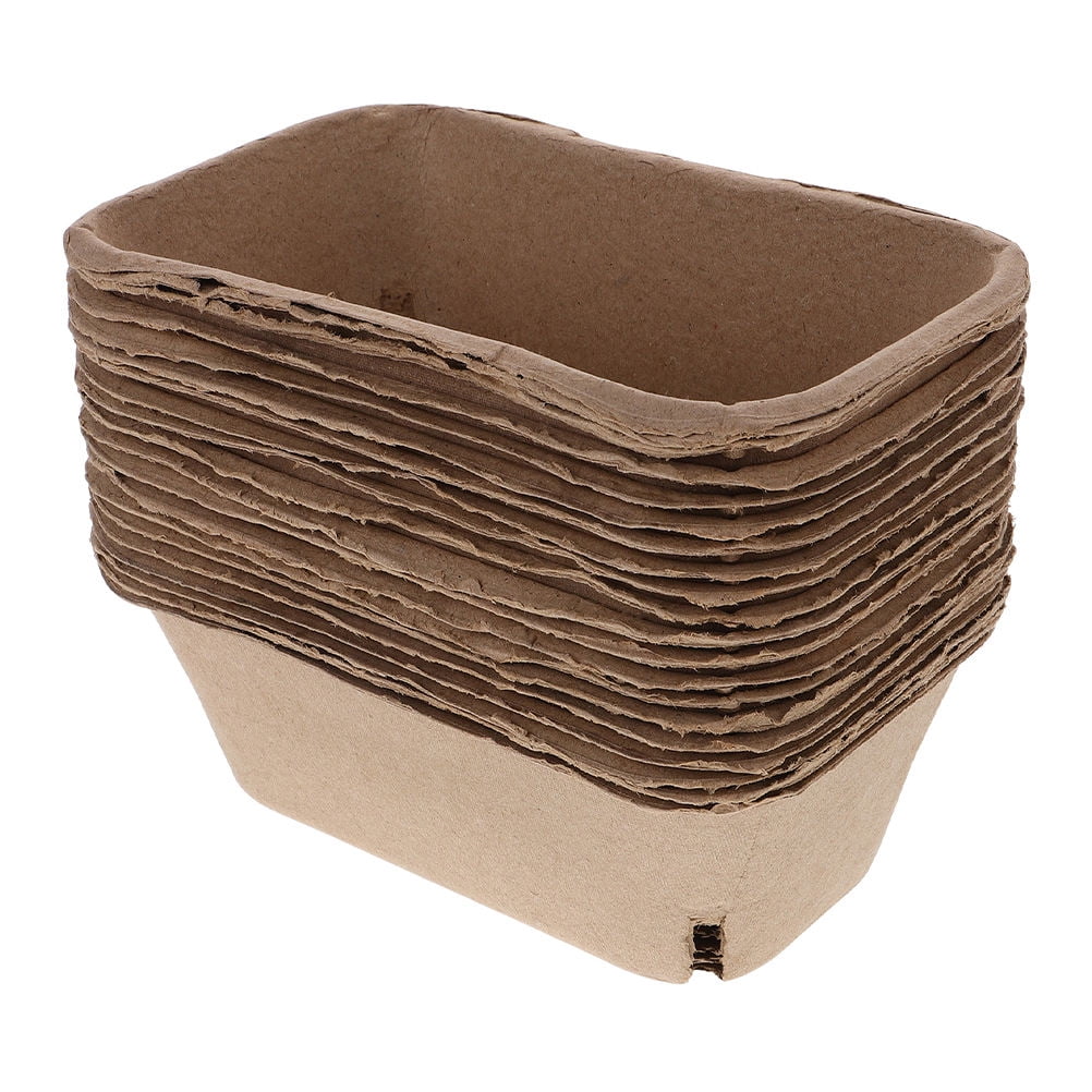 HOMEMAXS 40pcs Paper Berry Baskets Fruit Tray for Strawberries and ...