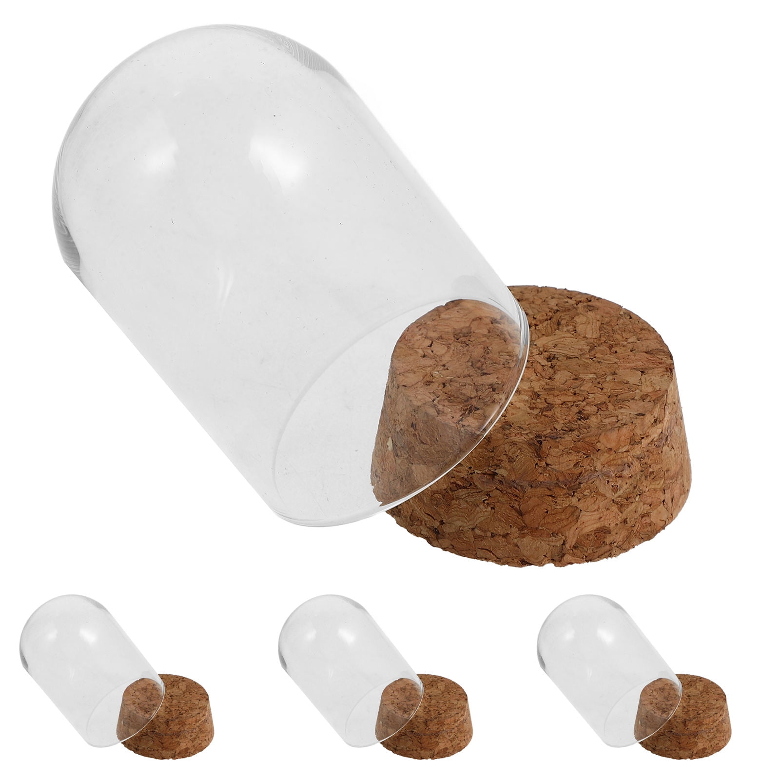 HOMEMAXS 4pcs Glass Display Dome With Plate Preserved Flower Tray With ...