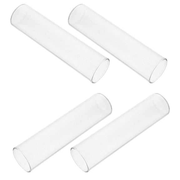 Test Tube Vases