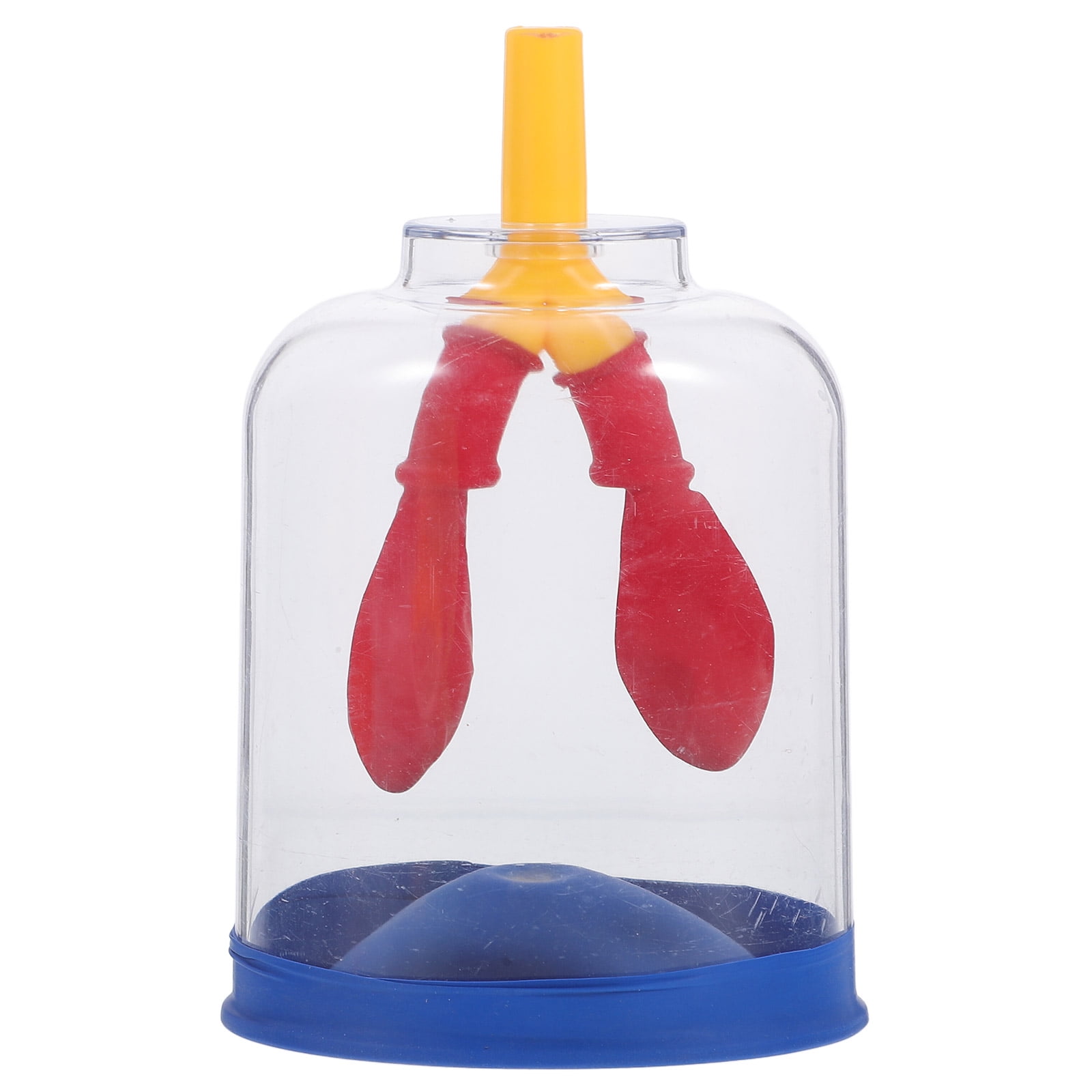 HOMEMAXS 4pcs Lung Model Human Lung Model Physics Experiments Teaching ...