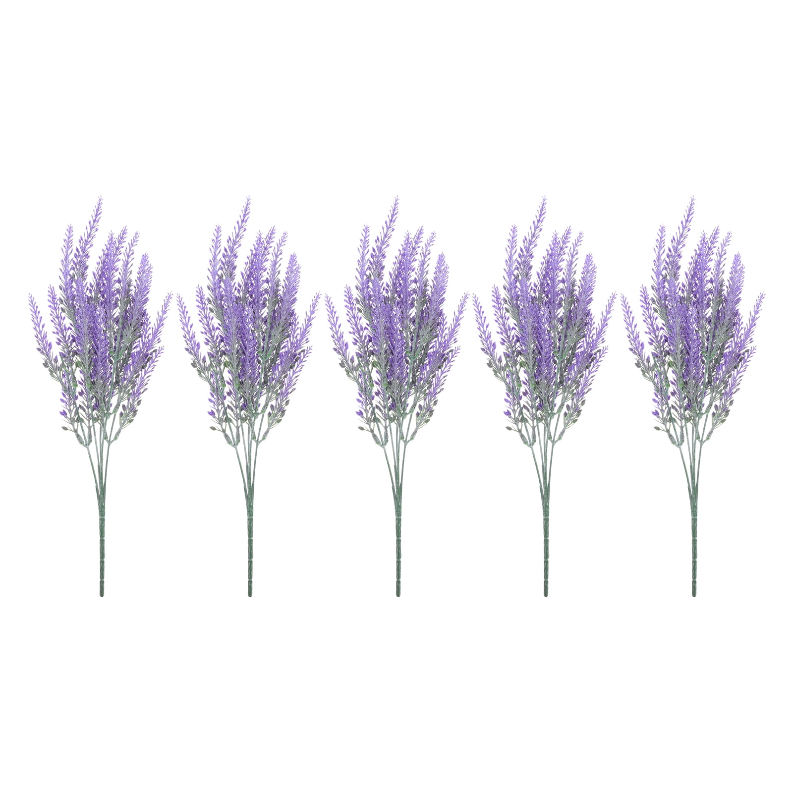 Lavender Salon