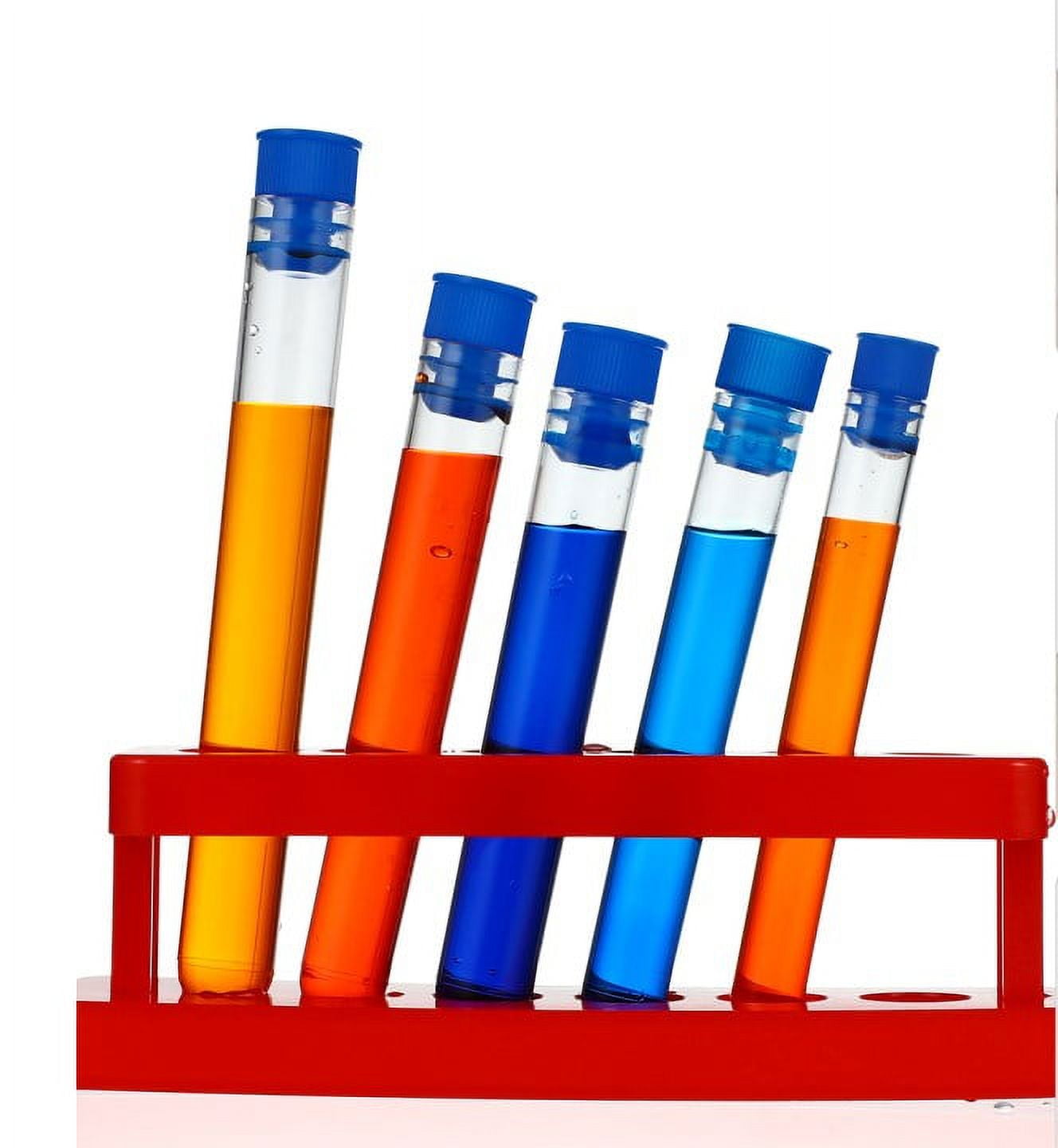 HOMEMAXS 5 Pcs Test Tube Rack Tube Rack Suit Child 16.00X5.00X5.00CM ...