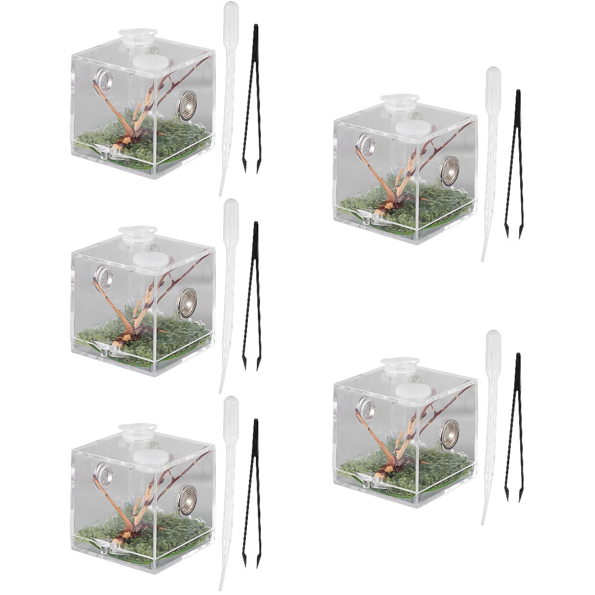 HOMEMAXS 5pcs Reptile Habitat Breeding Box Clear Feeding Case Hatching ...
