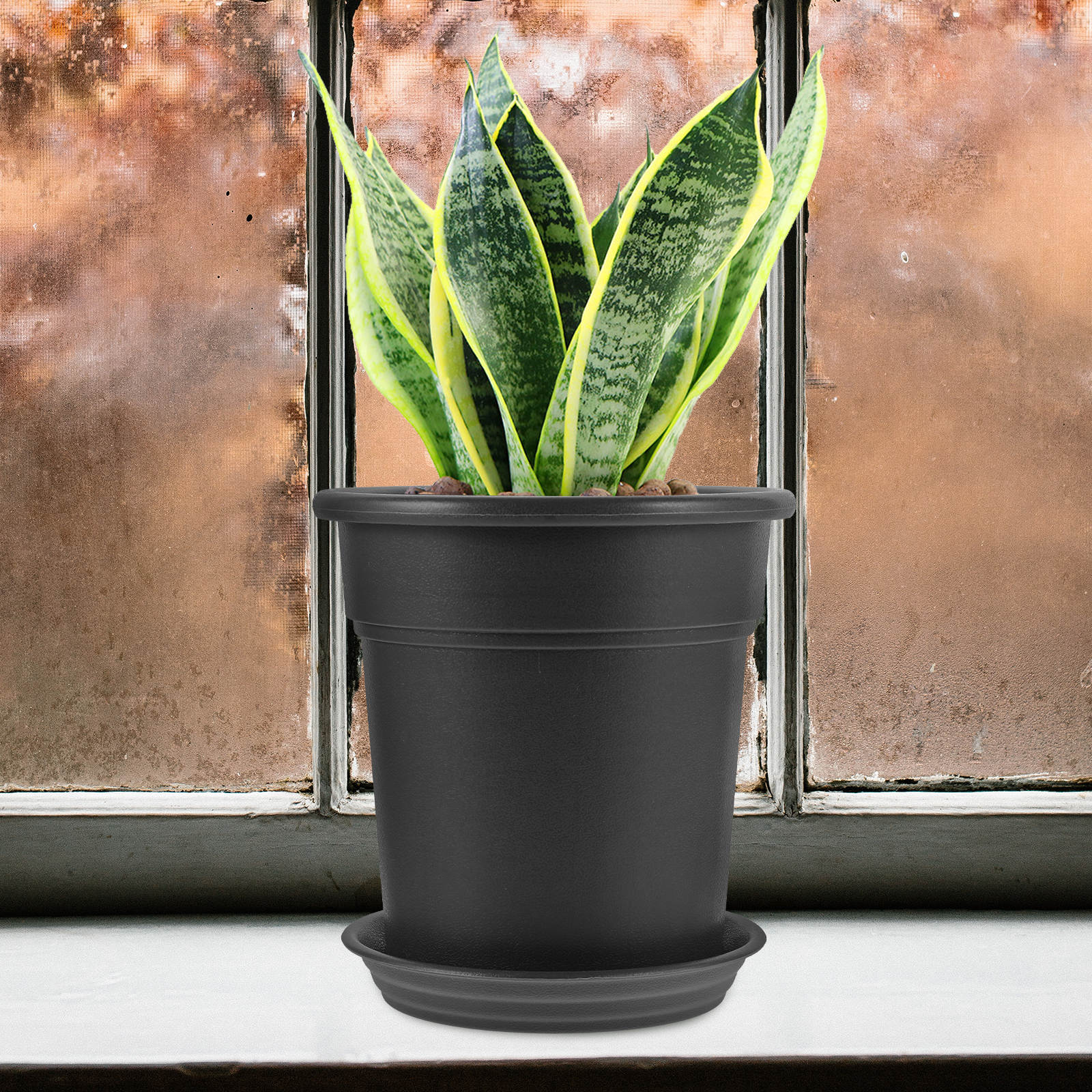 VERDANVERSE Dark Grey Plastic Orchid Pots 6 Sets by with Drainage for ...