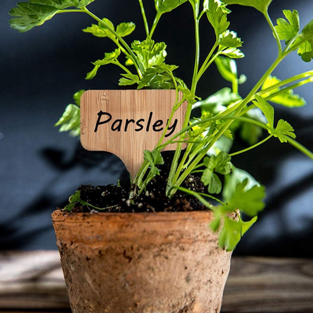 60pcs Wood Garden Plant Labels Plant Tags Wood Plant Label Tag Markers ...