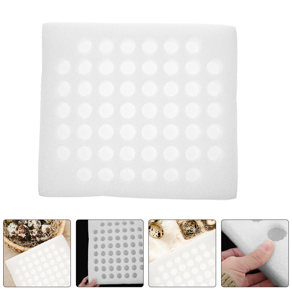 HOMEMAXS 6PCS Quail Egg Container Foam Eggs Tray Quail Eggs Storage ...