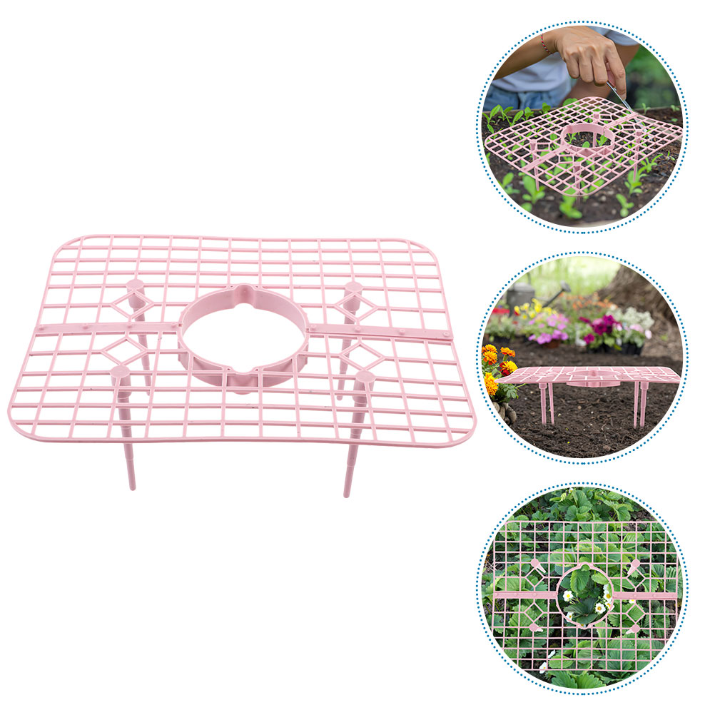 HOMEMAXS 6Pcs Strawberry Holder Strawberry Supports Strawberry Grow ...