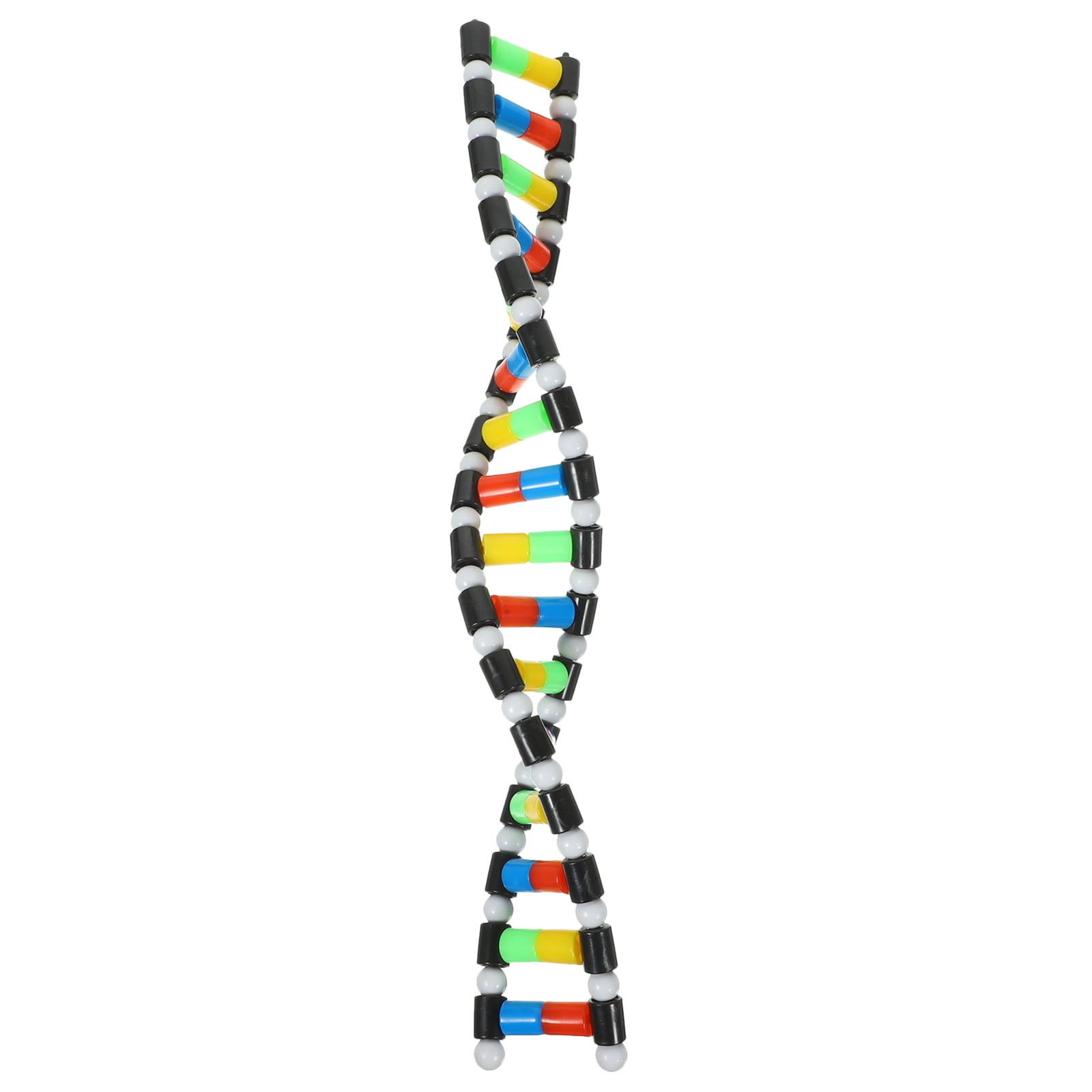 6pcs Double Helix Structure Model Molecular Model Kit Science ...