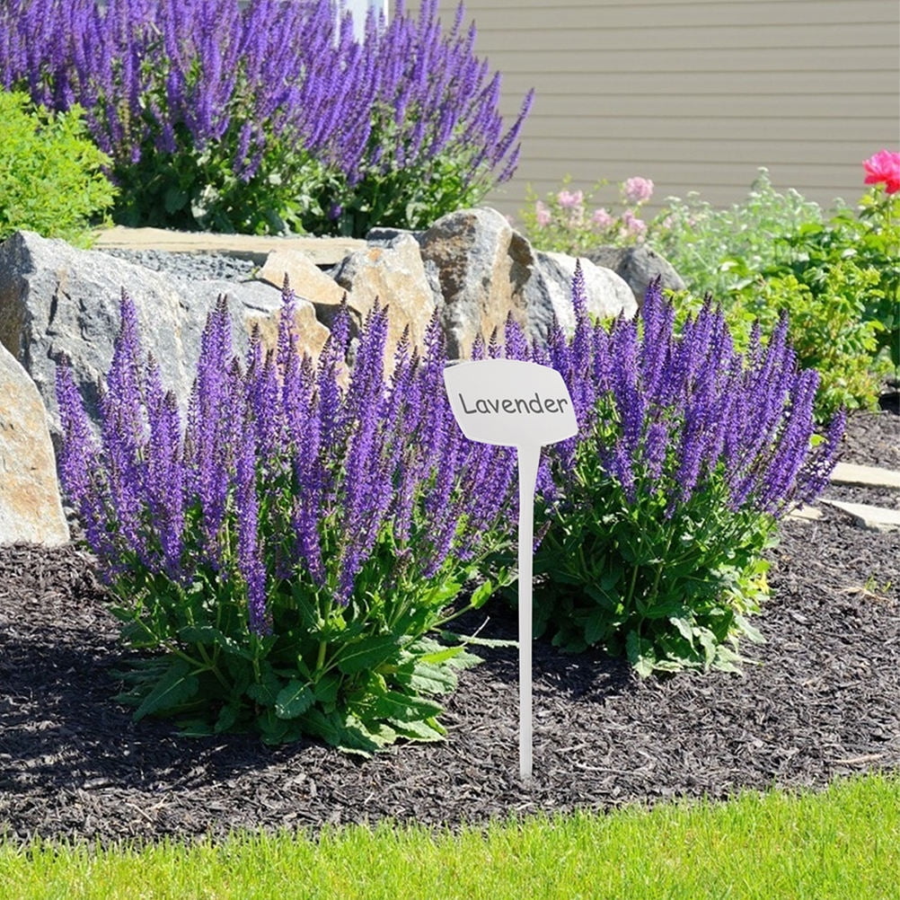 HOMEMAXS 8pcs White Plastic Plant Labels for Gardening Modern Style ...