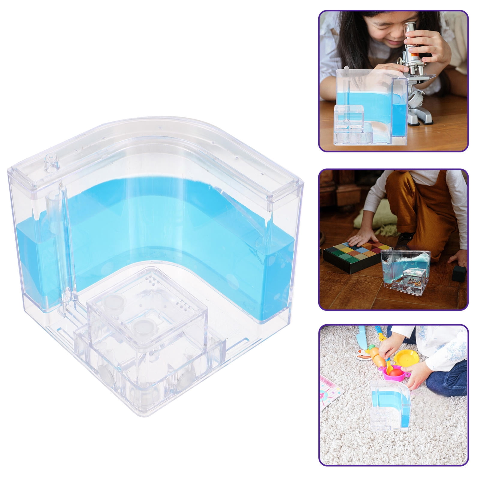 HOMEMAXS Ants Nest Ants Ecological Box Ants Breeding Box Science ...