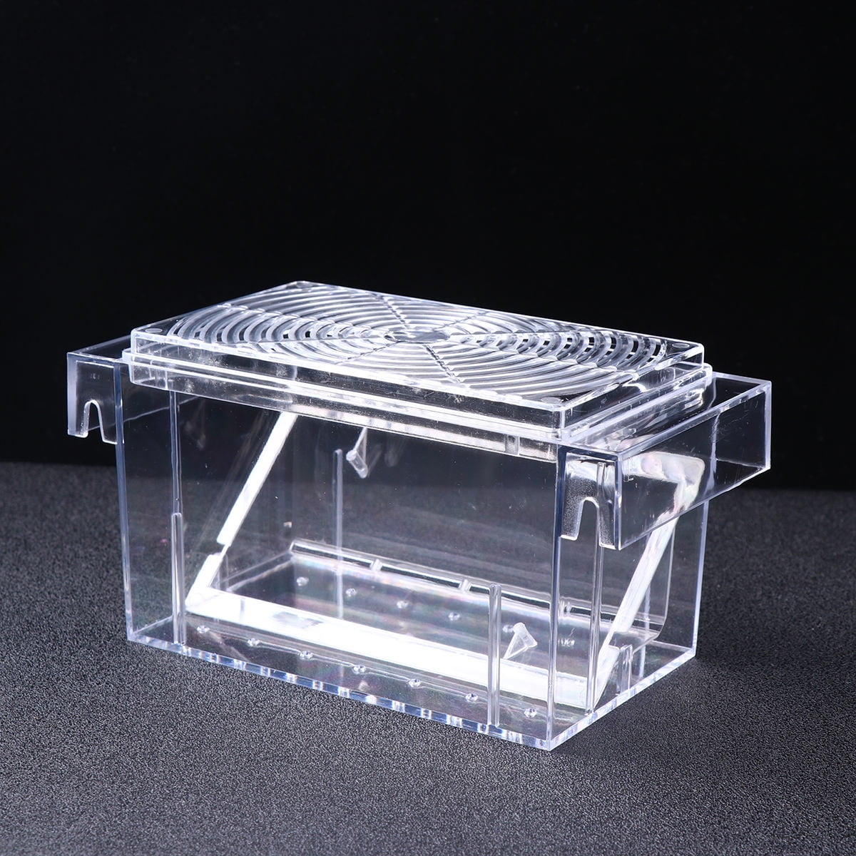MOKKHNB Fish Incubator Box Transparent Acrylic 1Set for Fish Tank ...