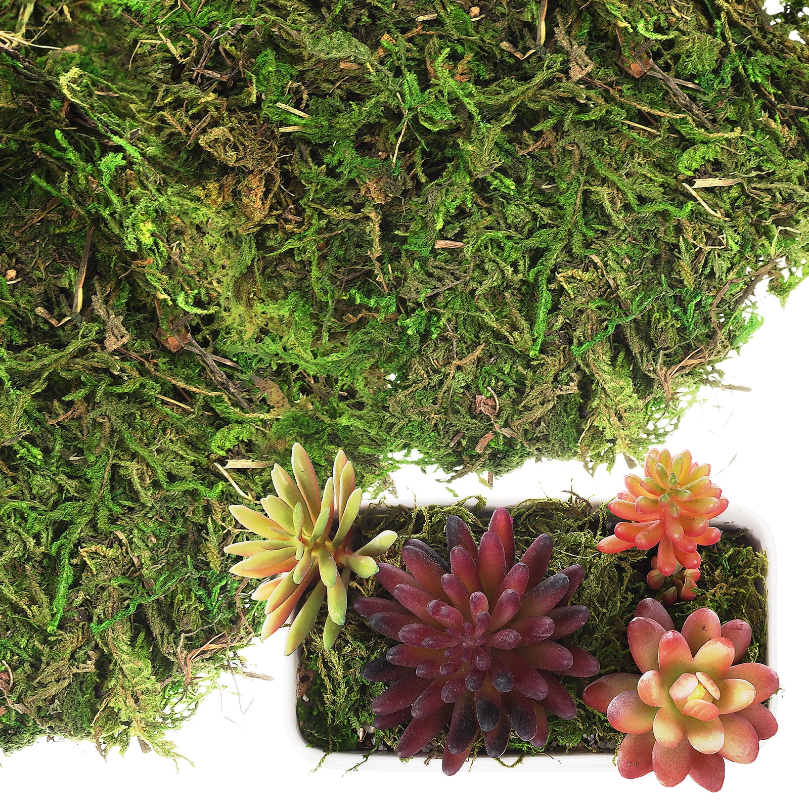 HOMEMAXS Artificial Moss for Crafts Decorative Green Stained - Walmart.com