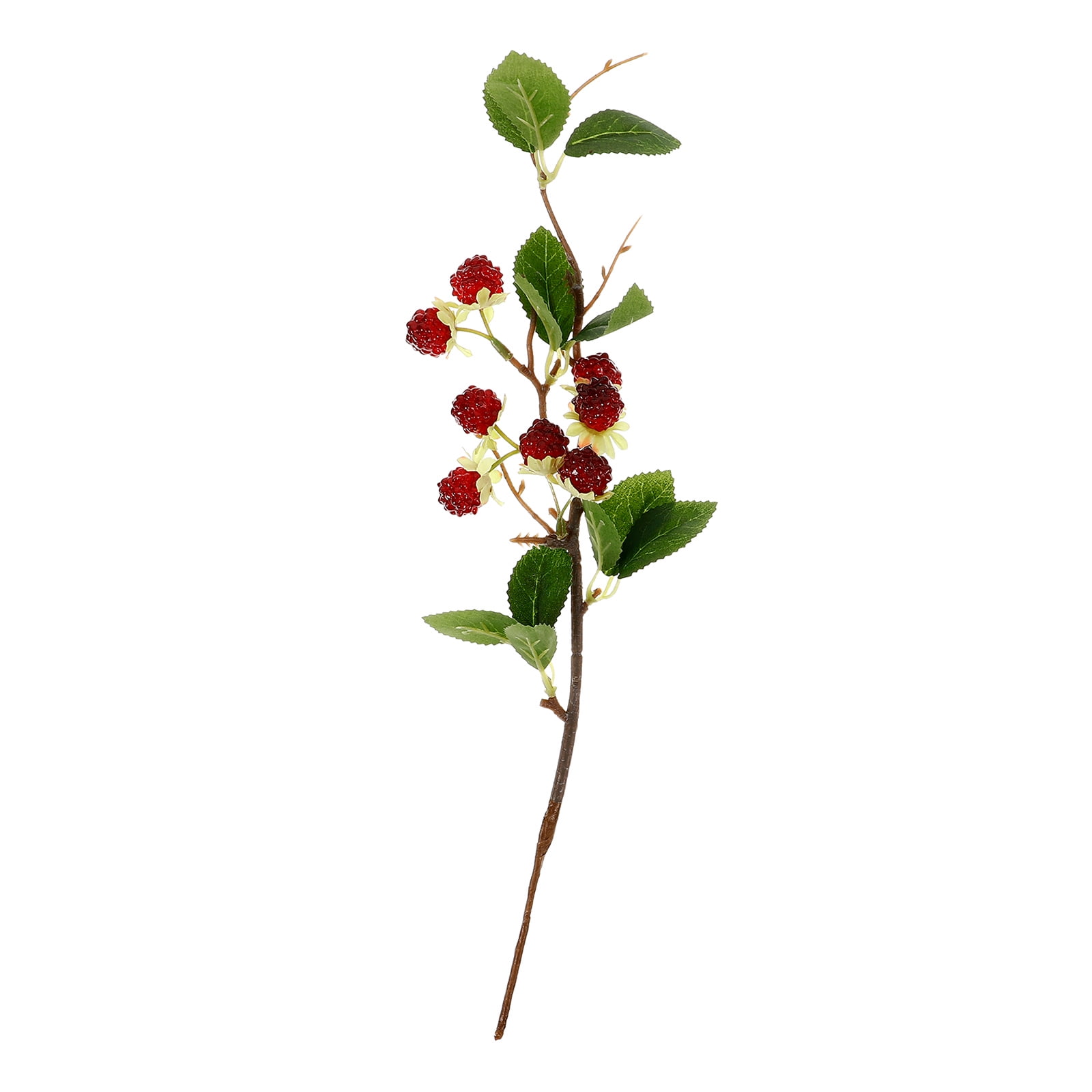 HOMEMAXS Artificial Raspberry Prop for Photography Use Made of Plastic ...