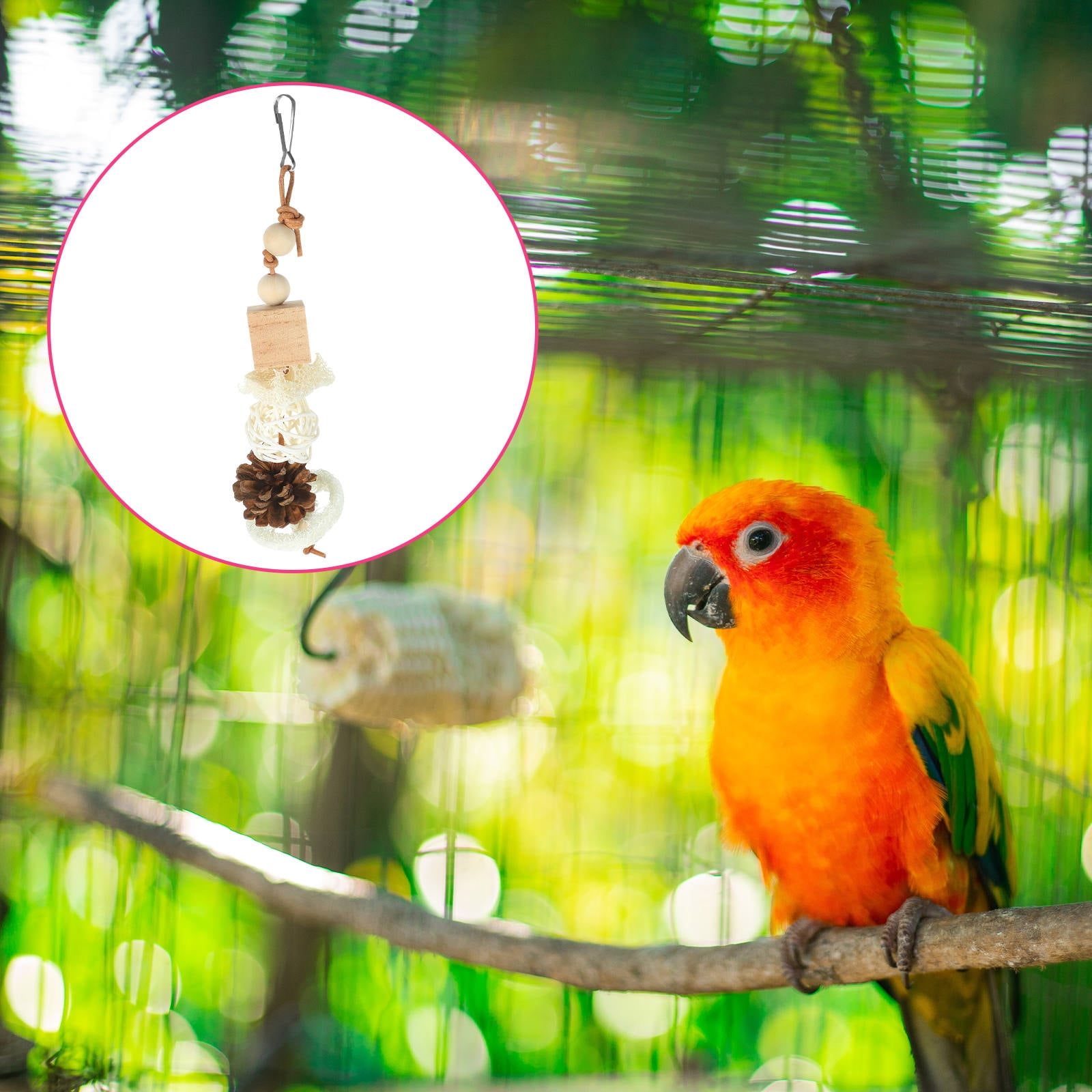 IFANLANDOR Parrot Chewing Toy Round Ball Simple Design Birds Cage ...