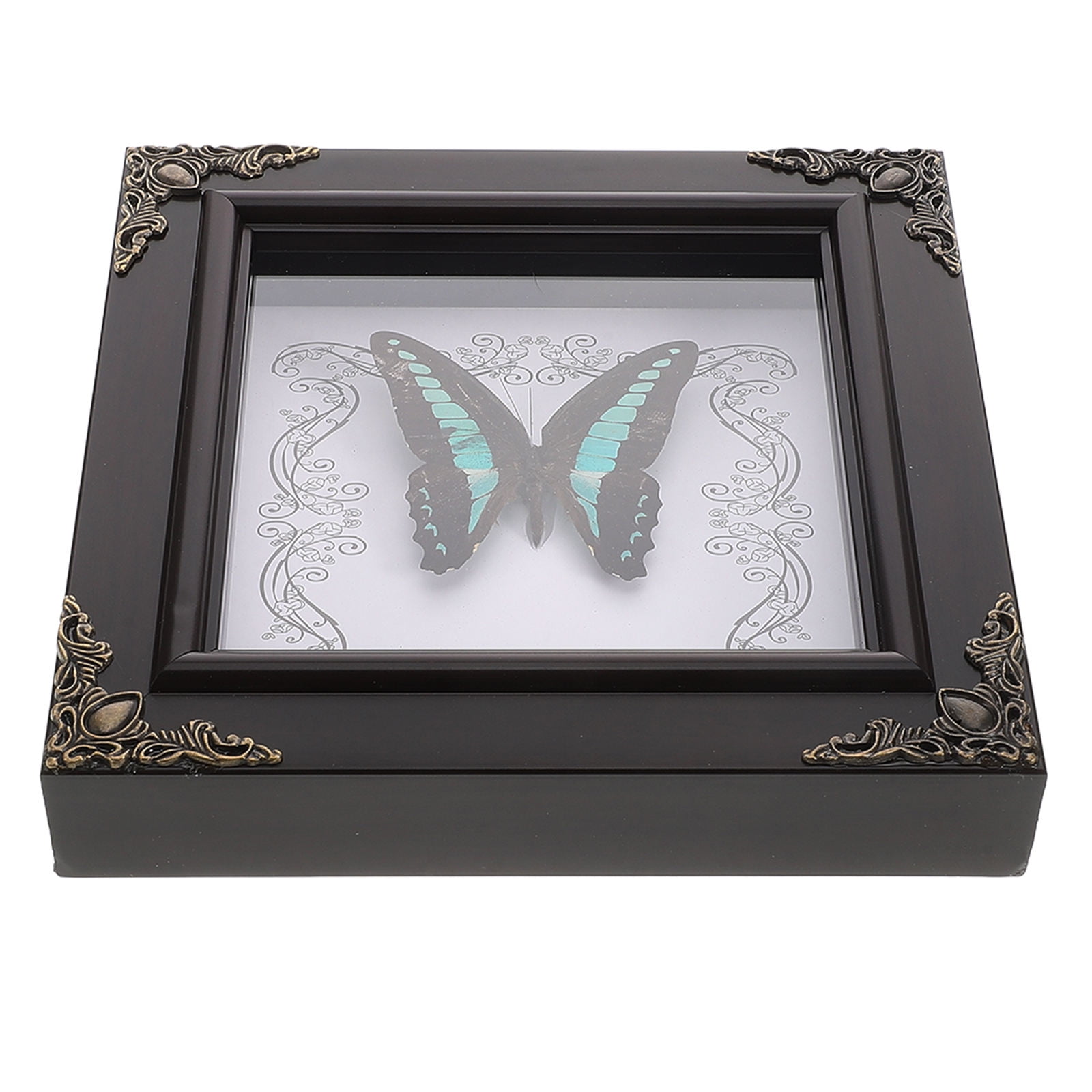 HOMEMAXS Authentic Butterfly Display Frame Real Butterfly Framed Art ...