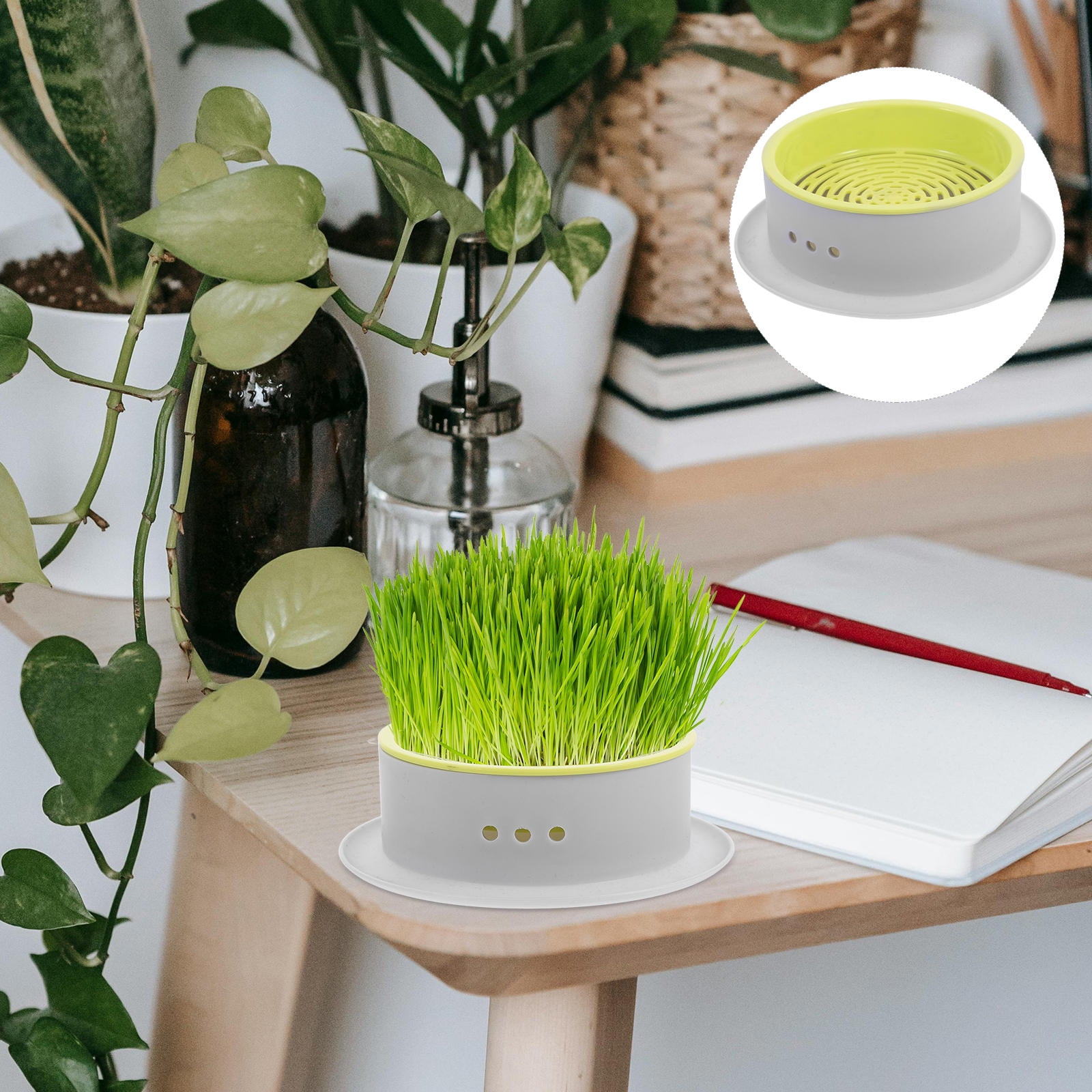 HOMEMAXS Cat Grass Soilless Planter Double Layer Round Planting Grass ...