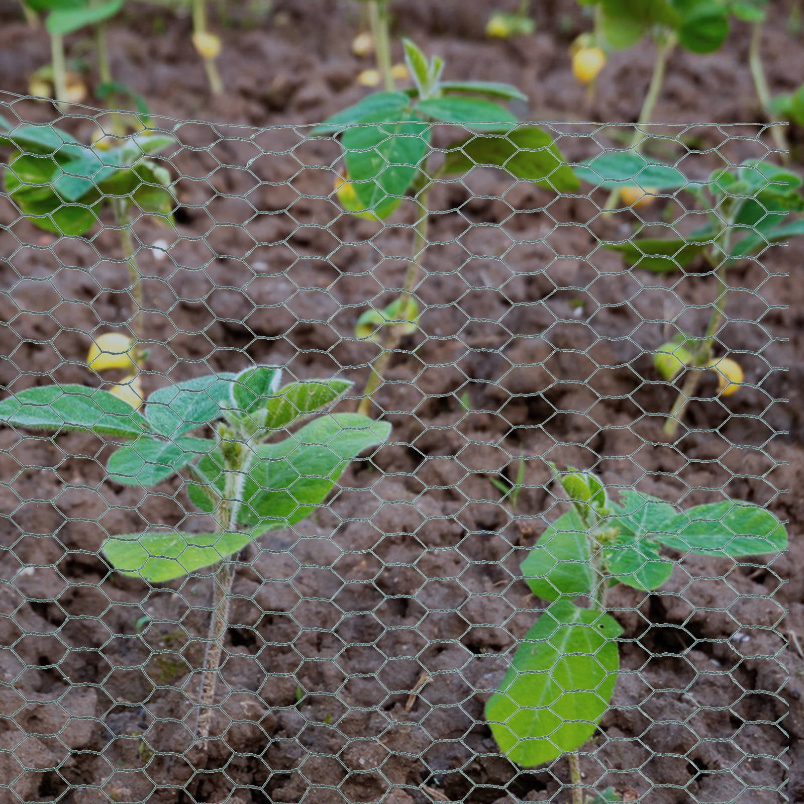 HOMEMAXS Chicken Wire Green Poultry Wire Netting Hexagonal Mesh Garden ...