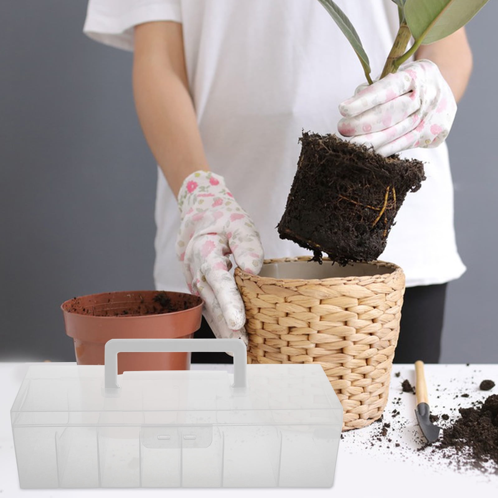 HOMEMAXS Clear Seed Packet Storage Organizer Seed Packet Storage ...