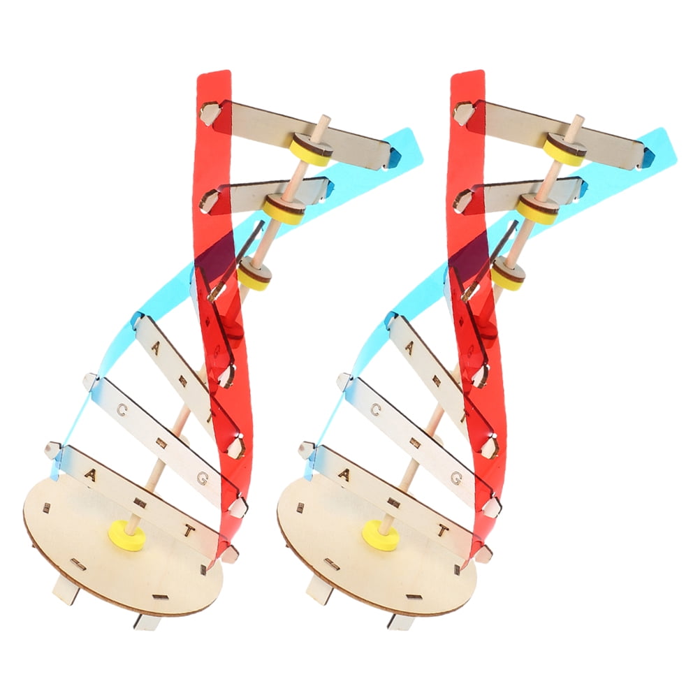HOMEMAXS DNA Double Helix Model Kit for Classroom Biology Teaching Toy ...