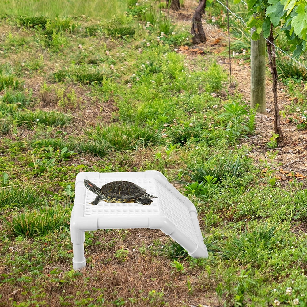 HOMEMAXS Diy Basking Platform With Climbing Ramp Floating Dock Turtle ...