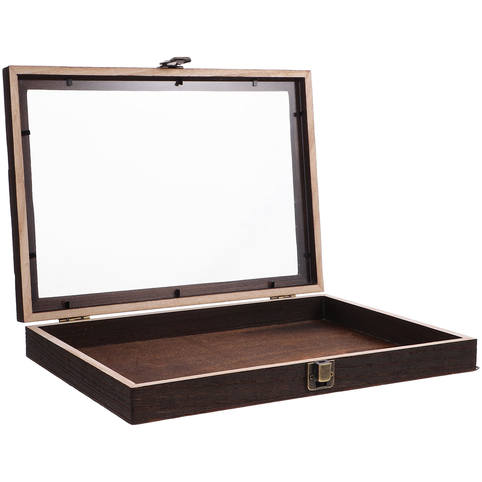 HOMEMAXS Empty Insect Display Case Wooden Frame Butterflies Specimen ...