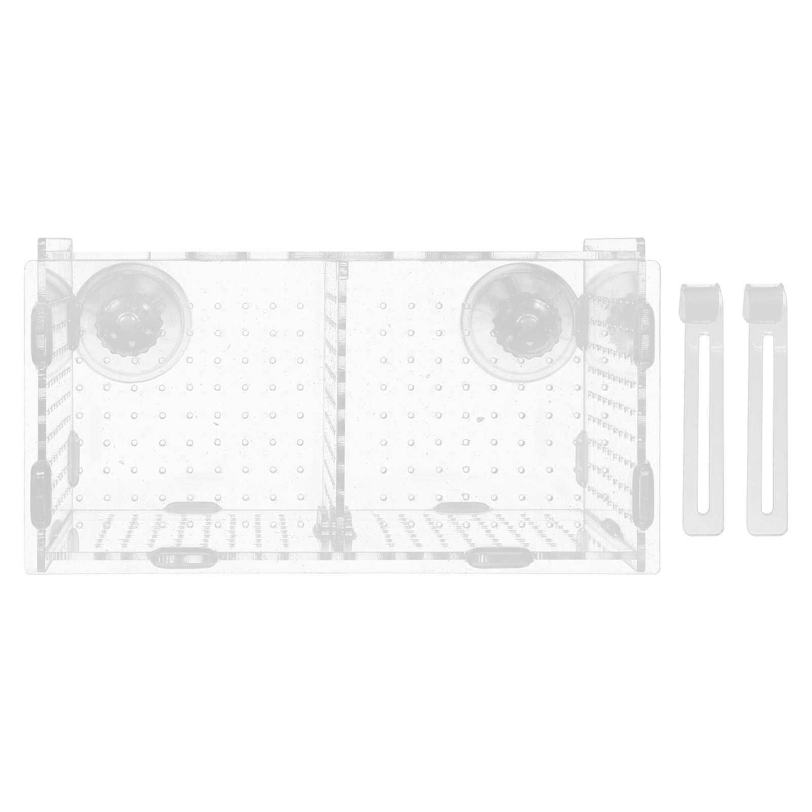 Filter Betta Box Fish Tank Isolation Box 20x10x10CM Transparent ...