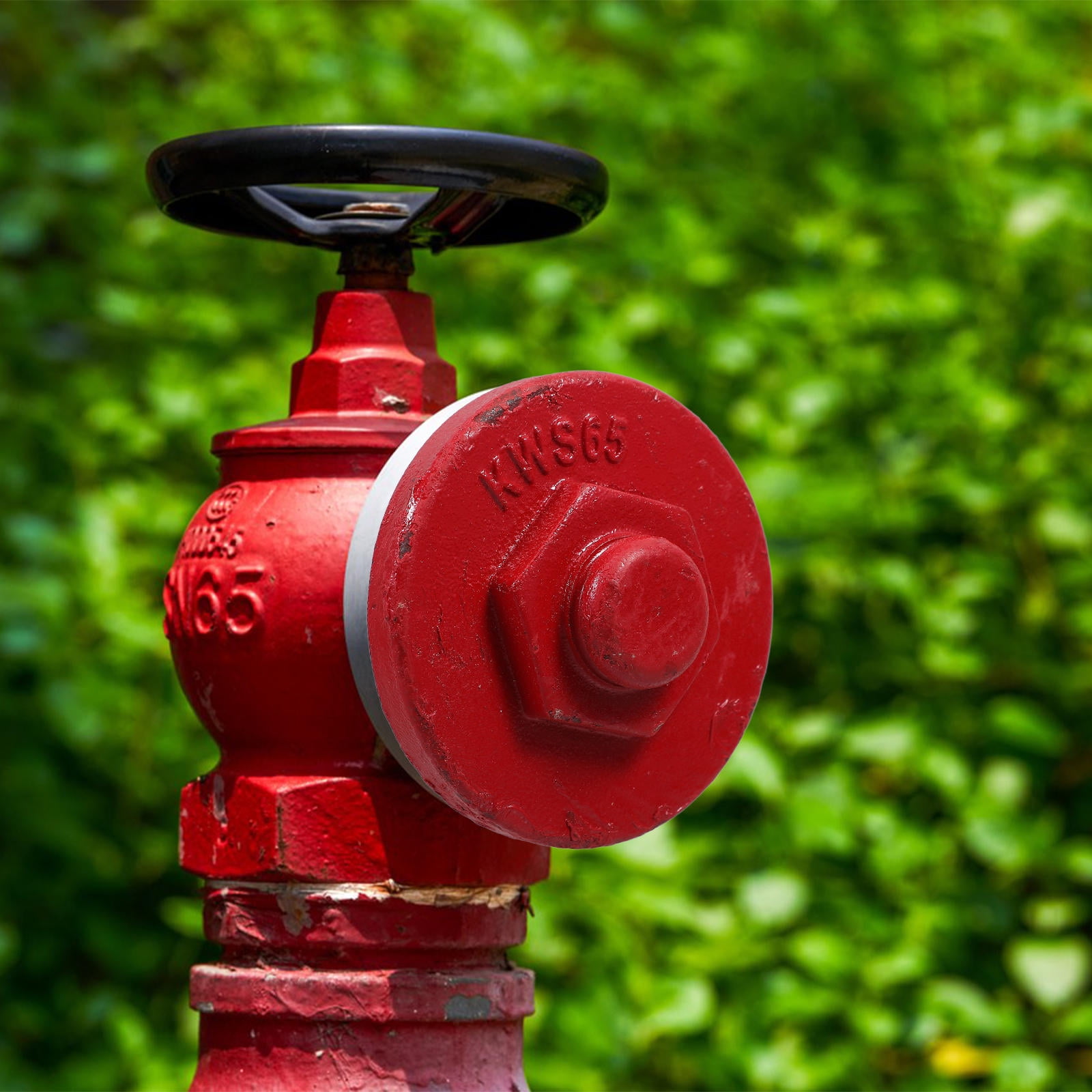 HOMEMAXS Fire Hydrant Cap Iron Accessory Fire Hydrant Cap Iron ...