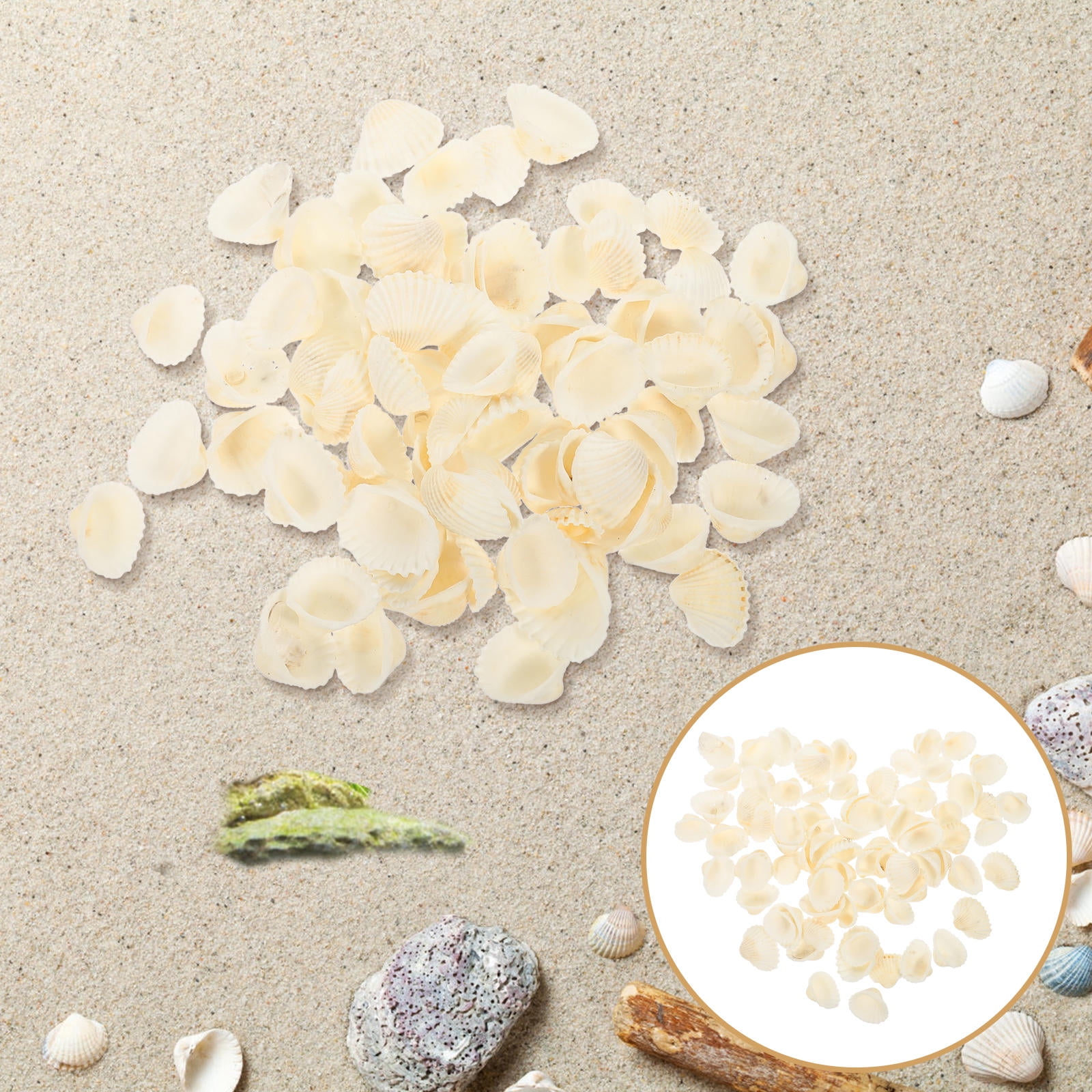 HOMEMAXS Fish Tank Decorations Natural Aquarium Shells Sea Cake Baby ...