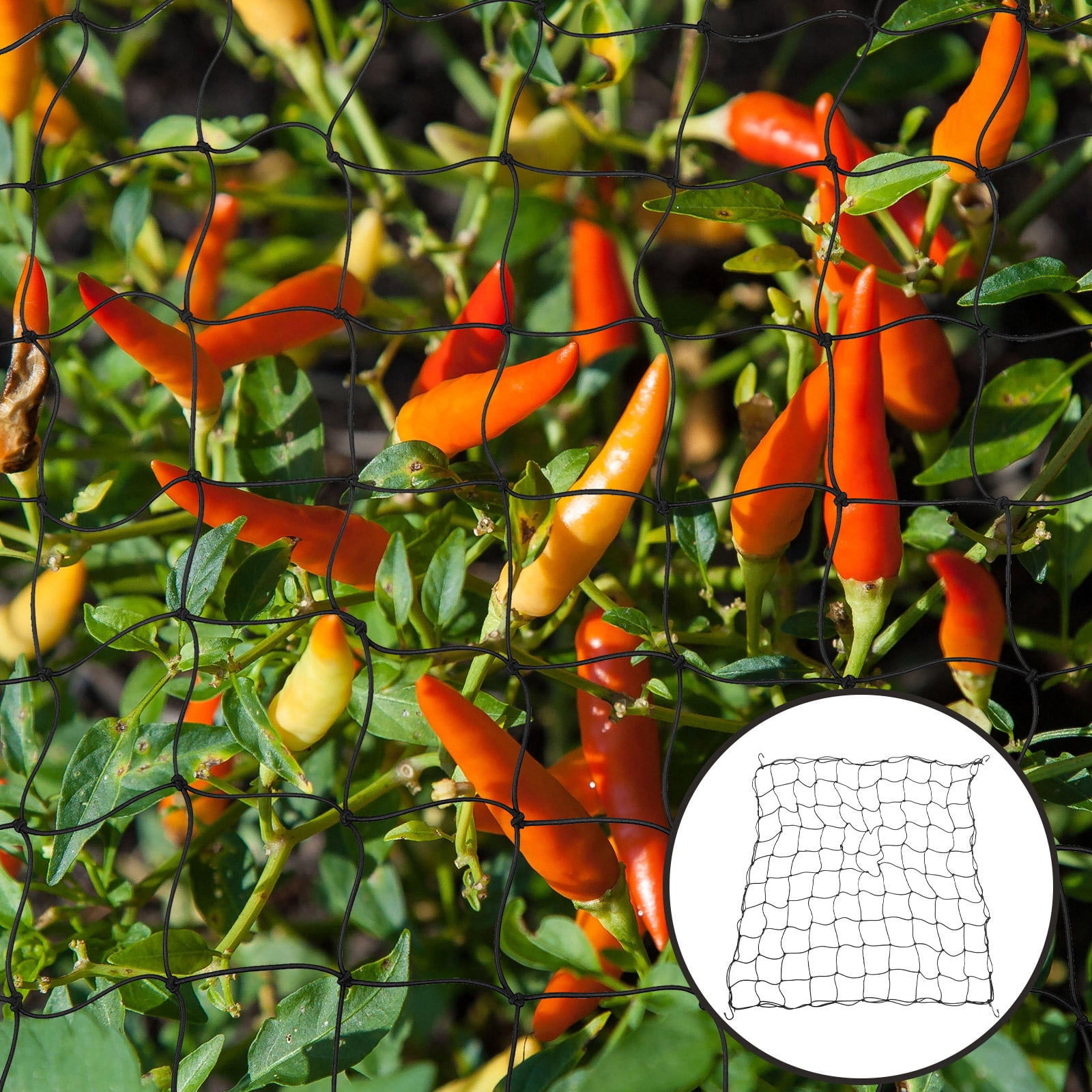 HOMEMAXS Garden Plant Trellis Netting Garden Trellis Net Convenient ...