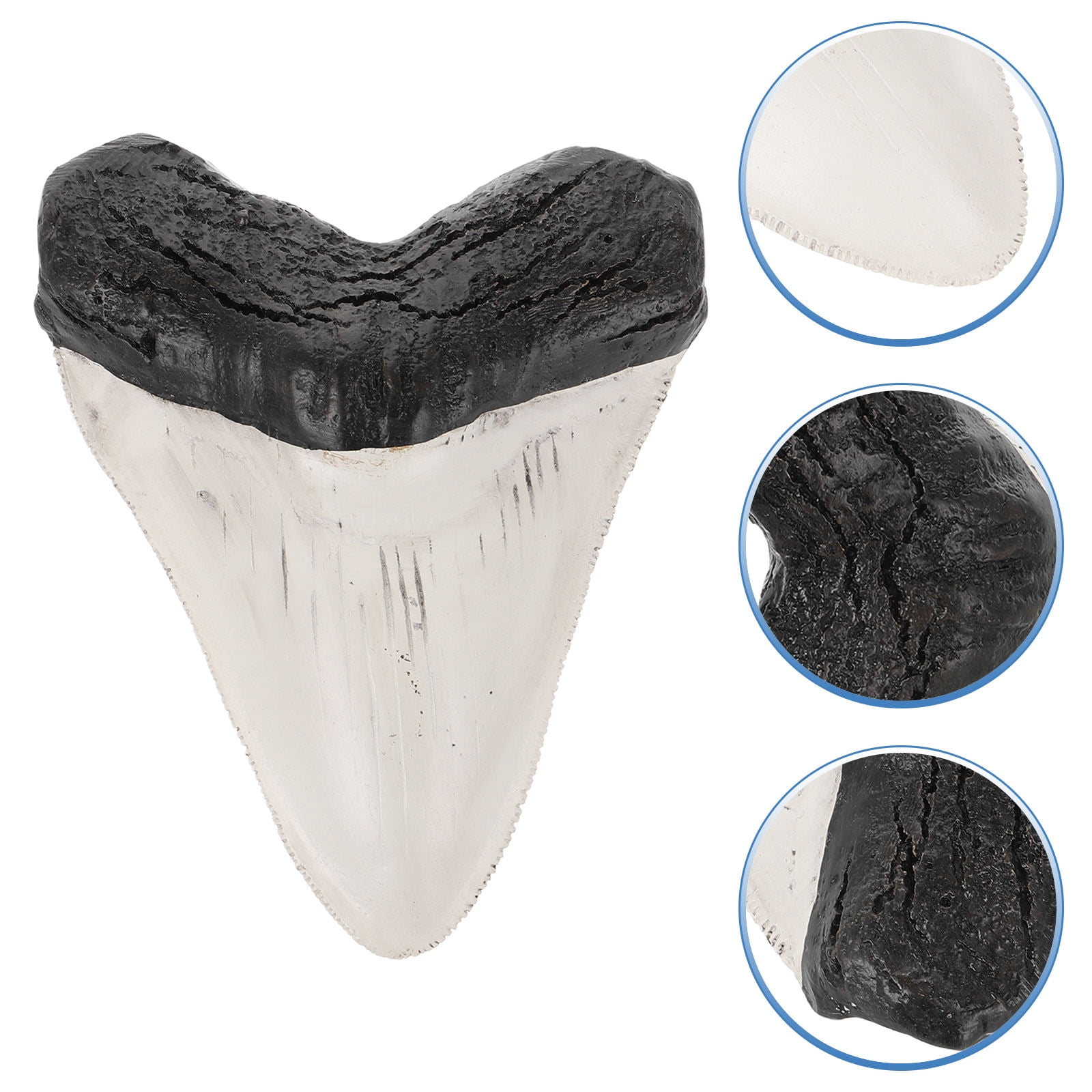 HOMEMAXS Giant Shark Tooth Decor Shark Teeth Fake Model Craft ...