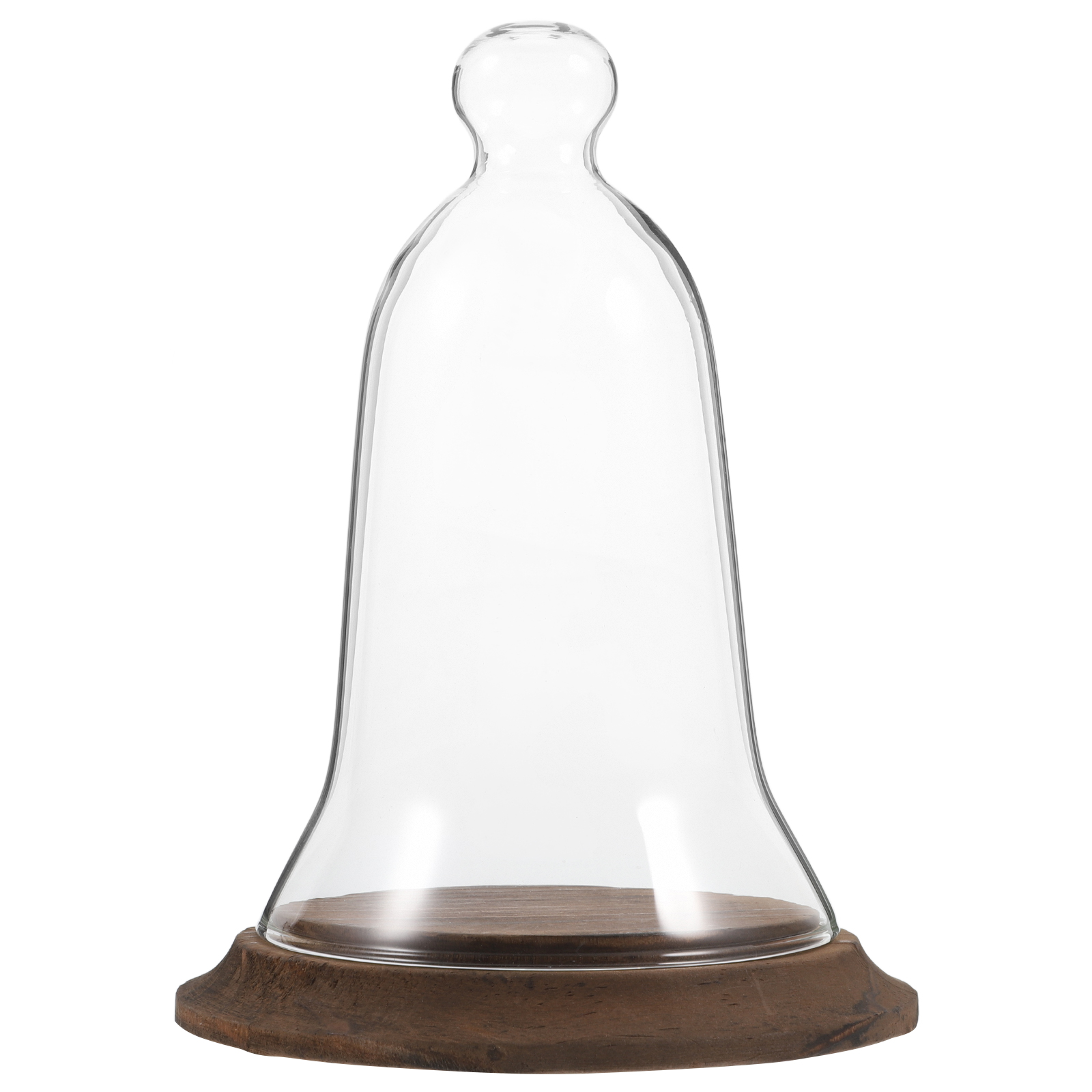 HOMEMAXS Glass Cloches for Plants Dome Display Cover Immortal Flower ...