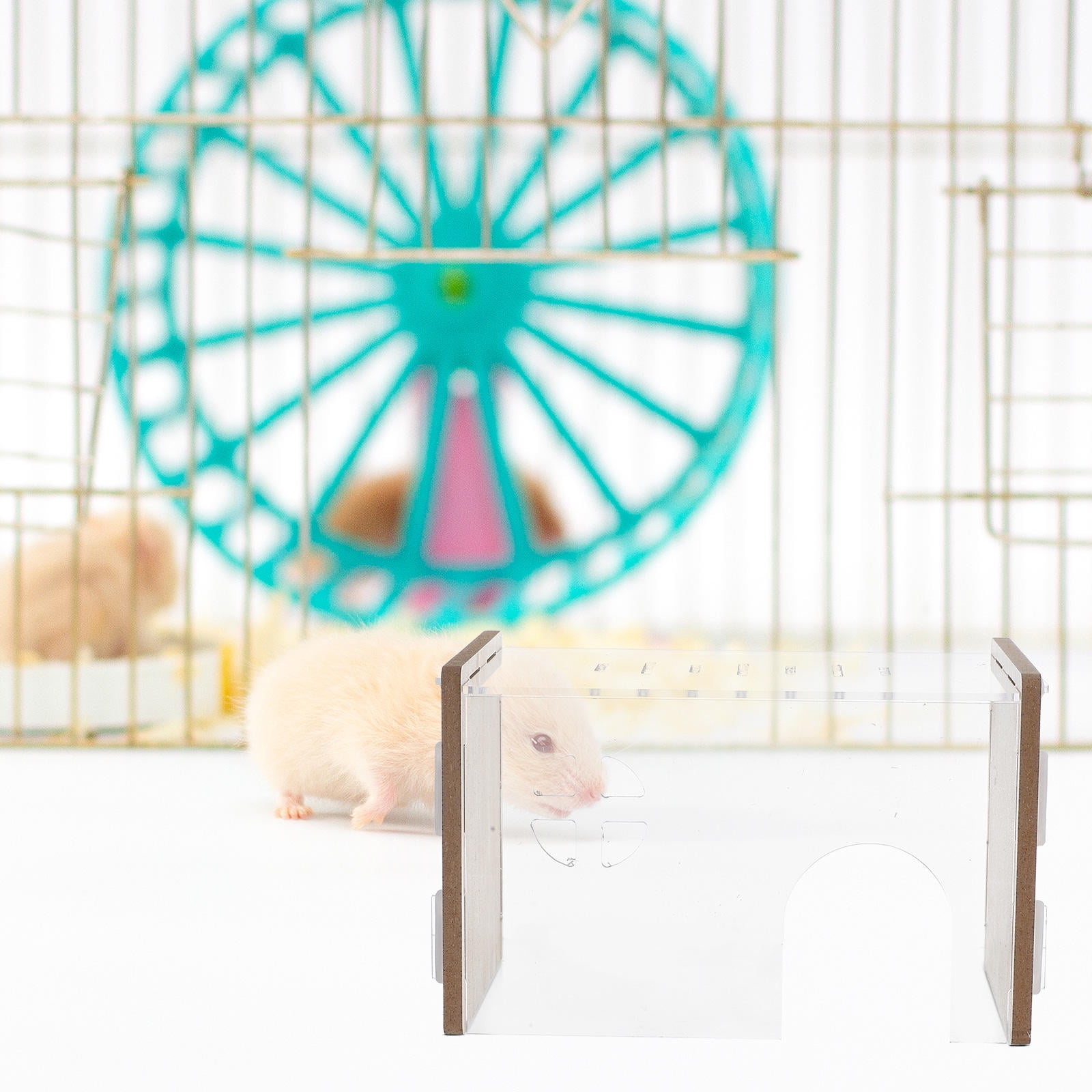 HOMEMAXS Hamster Hide House Hamster Clear Hide Acrylic Hamster House ...