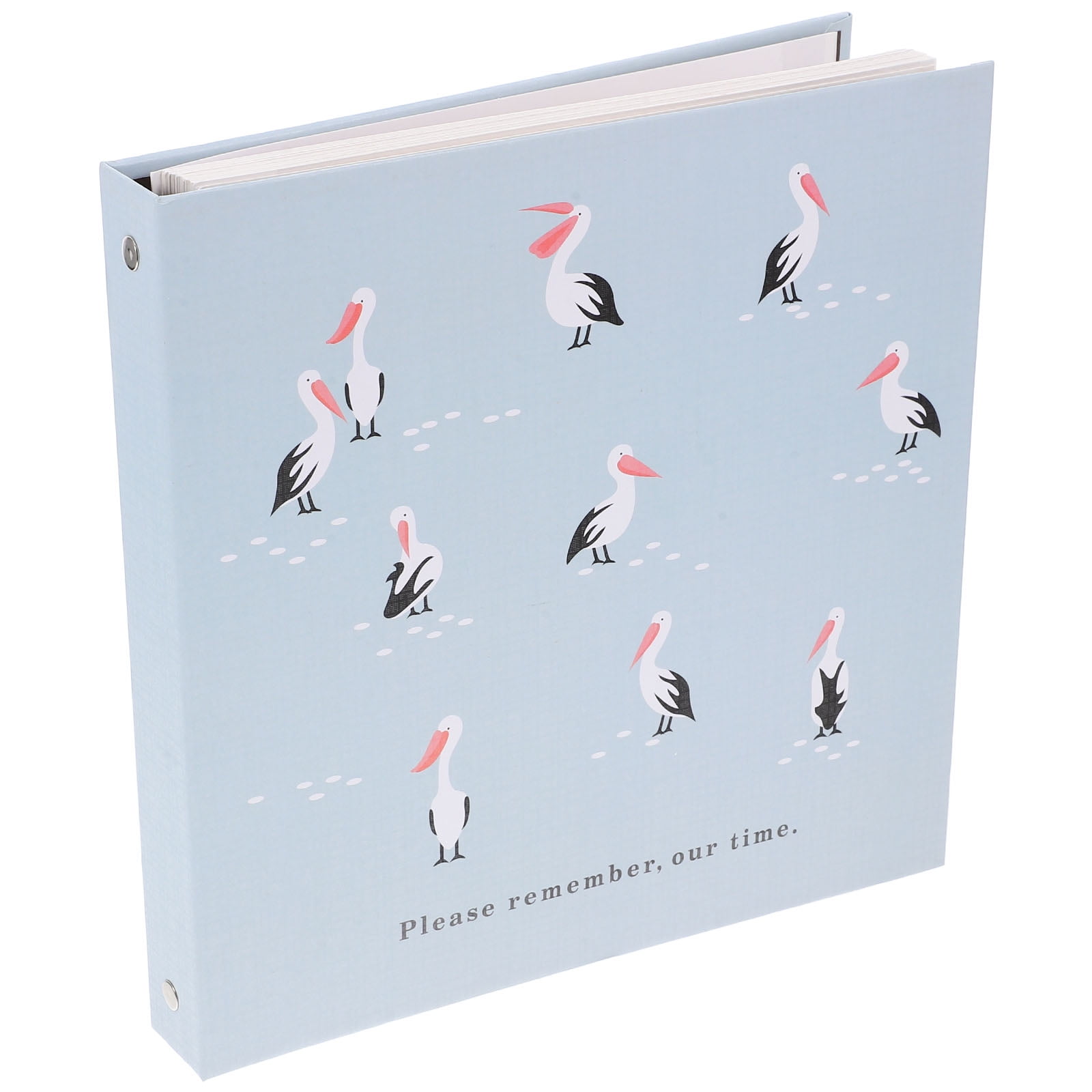 HOMEMAXS Herbarium Collection Pressed Specimen Album Dried Flowers DIY ...