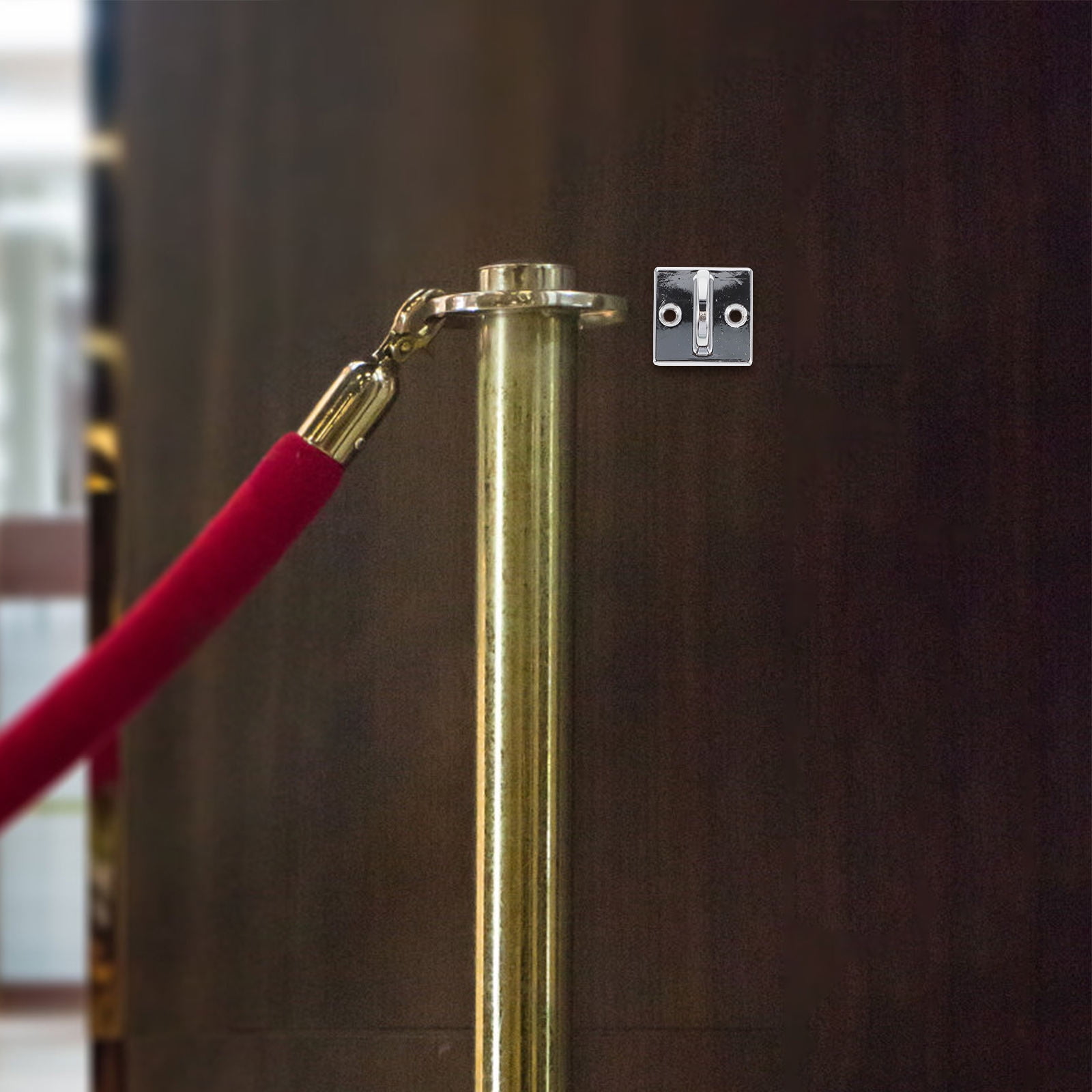 HOMEMAXS Hook Key Hooks Wall Mounted VIP Rope Circle Queue Line Barrier ...