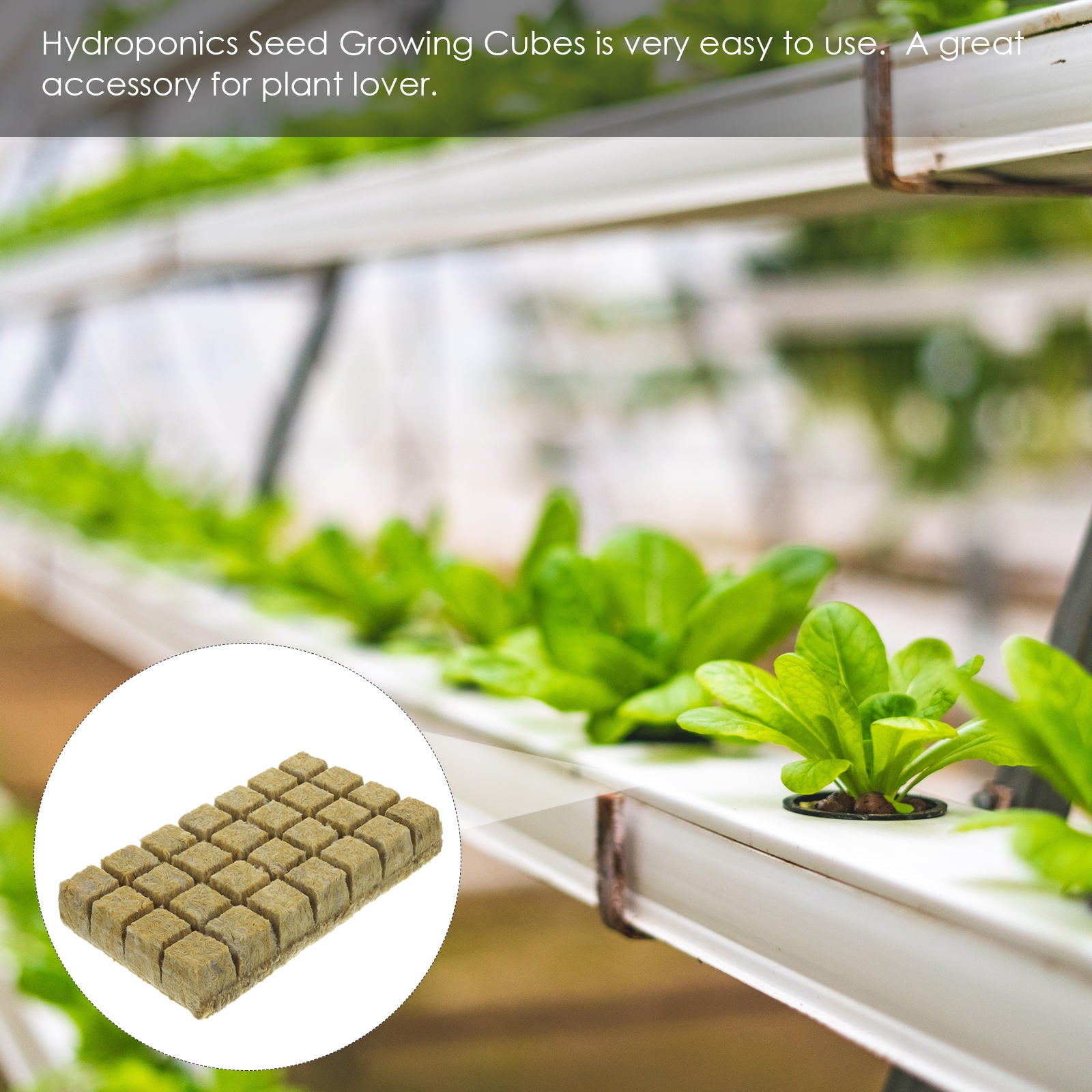 HOMEMAXS Hydroponic Starter Cubes for Planting Mineral Wool Nursery ...